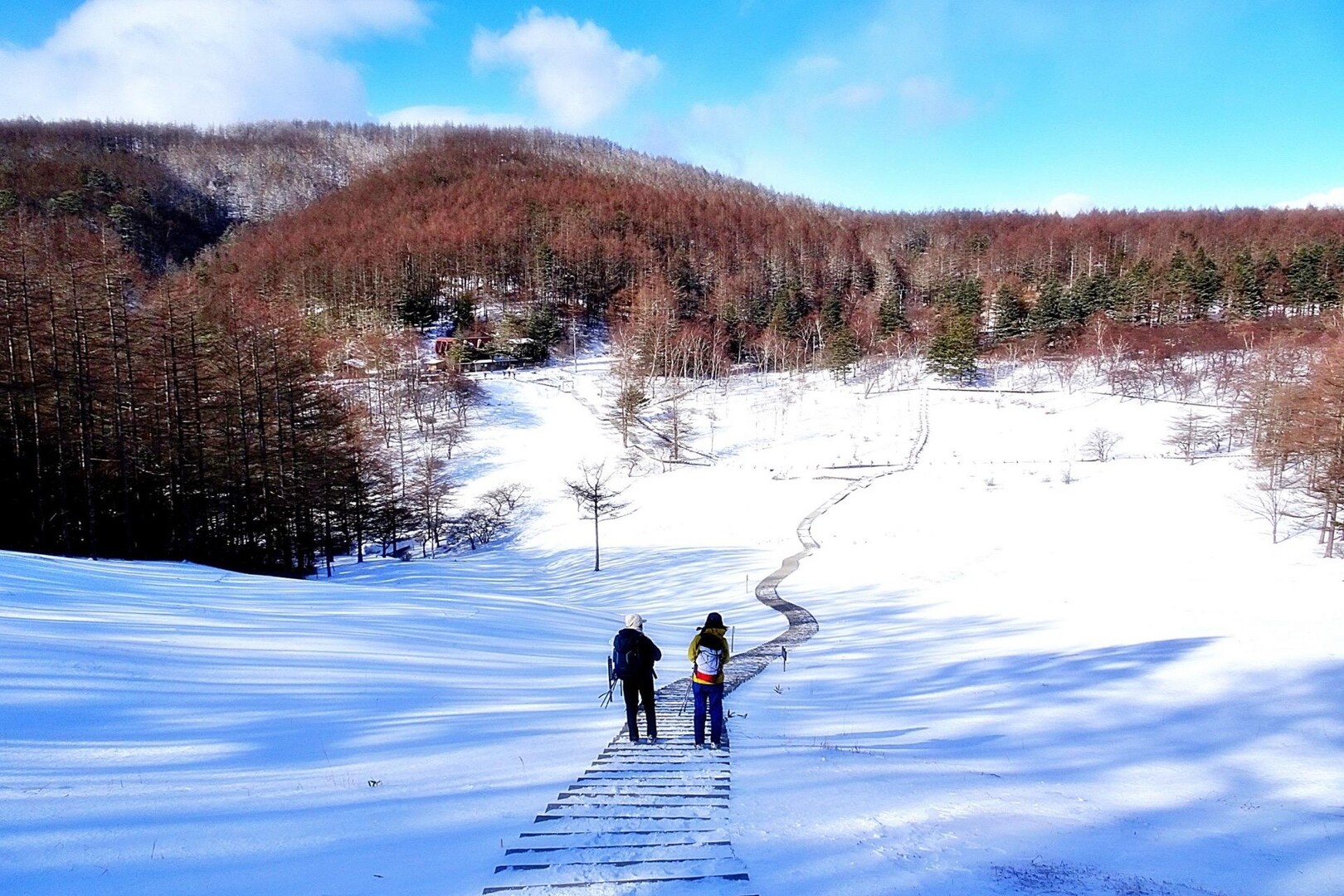 とろろ昆布の森・入笠山🥶 / sorarinnさんの入笠山の活動日記 | YAMAP / ヤマップ