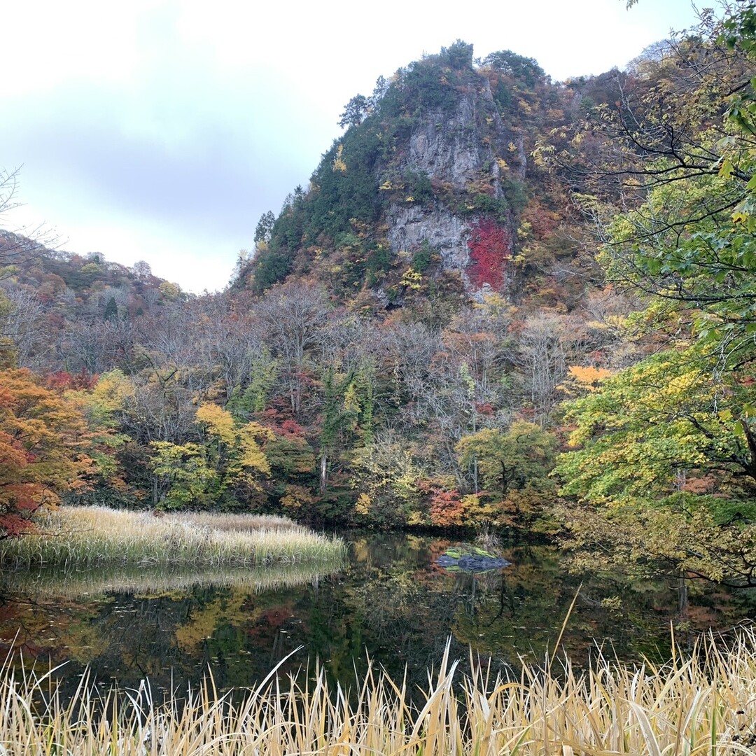 医王山 / T.konishiさんの医王山・白兀山・箱屋谷山の活動データ | YAMAP / ヤマップ