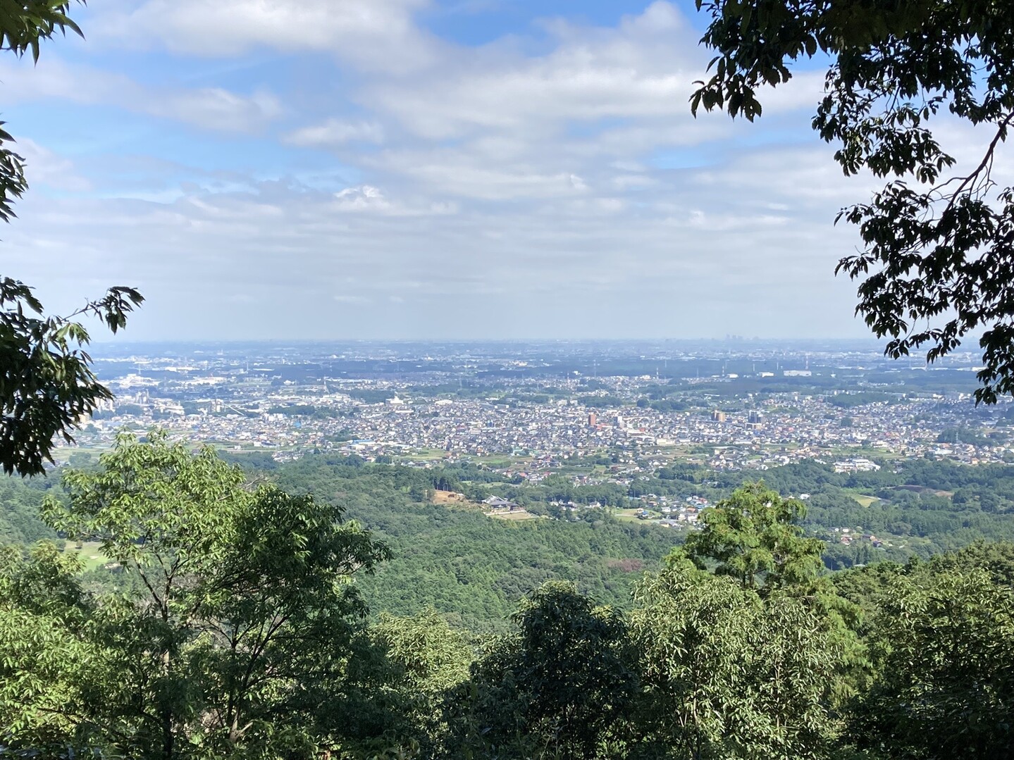 日和田山 / naokiさんの日和田山・物見山の活動データ | YAMAP / ヤマップ