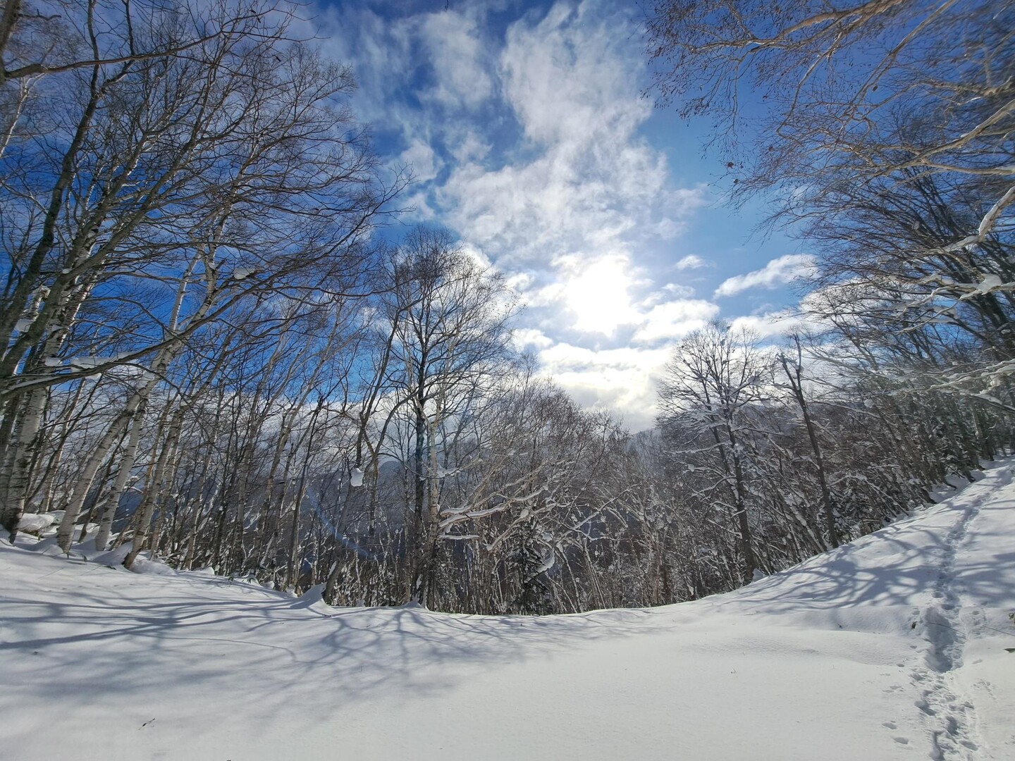夕日岳_奥夕日岳_一ノ沢 / nomさんの朝日岳・夕日岳の活動データ | YAMAP / ヤマップ