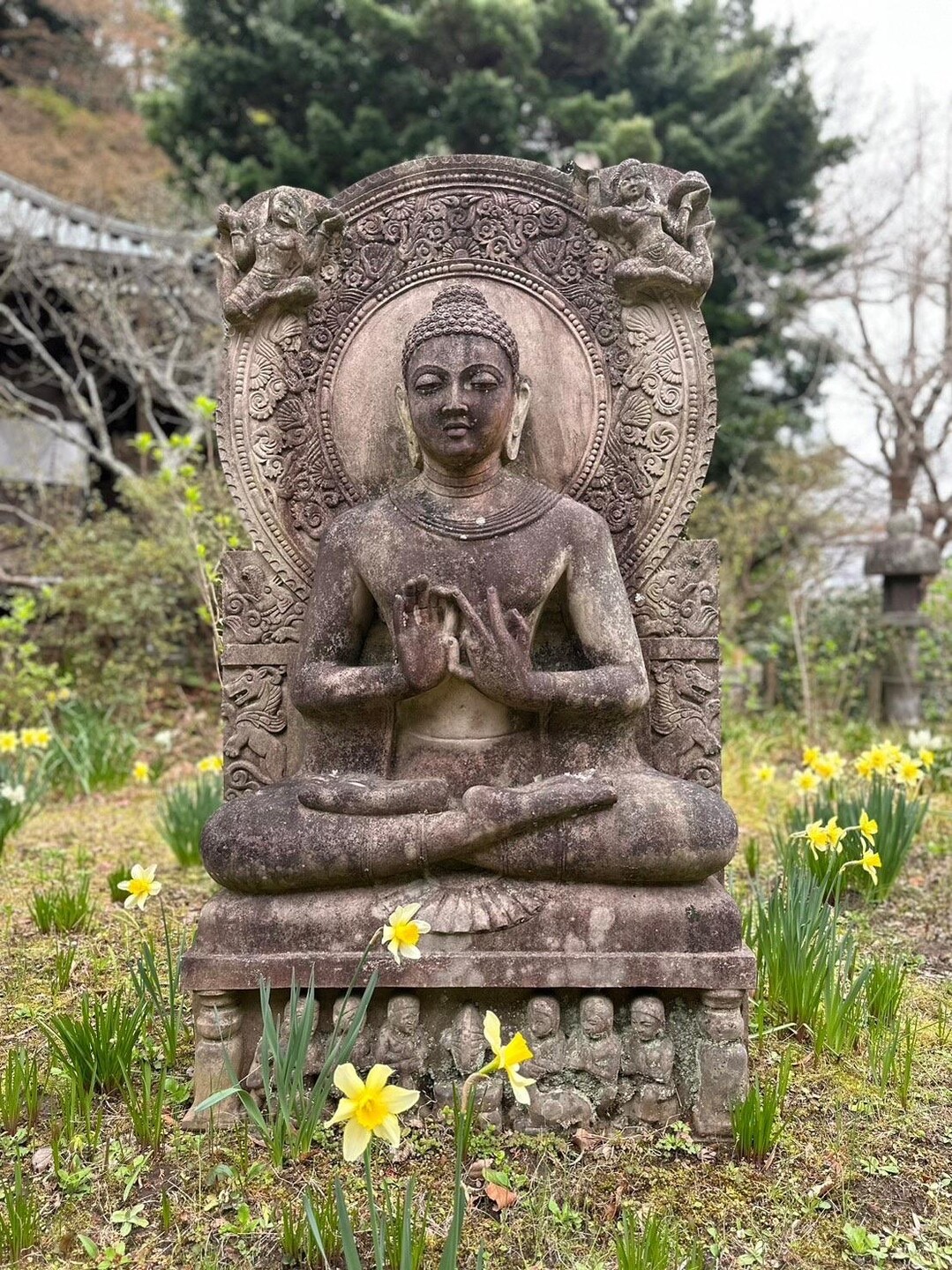 鎌倉の安国論寺の花が見頃です / chi-meroさんのモーメント | YAMAP / ヤマップ