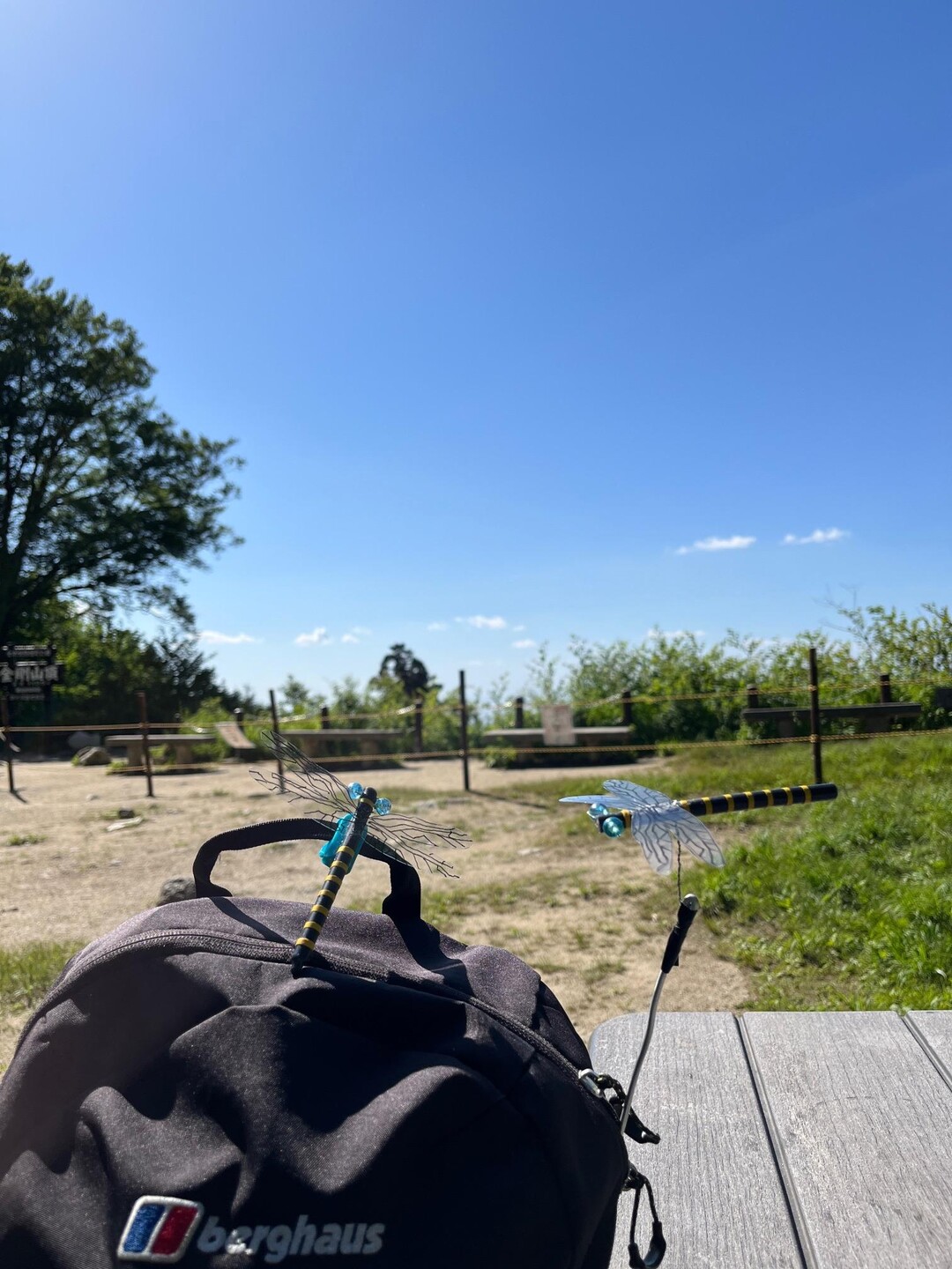 金剛山 / milky55さんの金剛山・二上山・大和葛城山の活動データ | YAMAP / ヤマップ