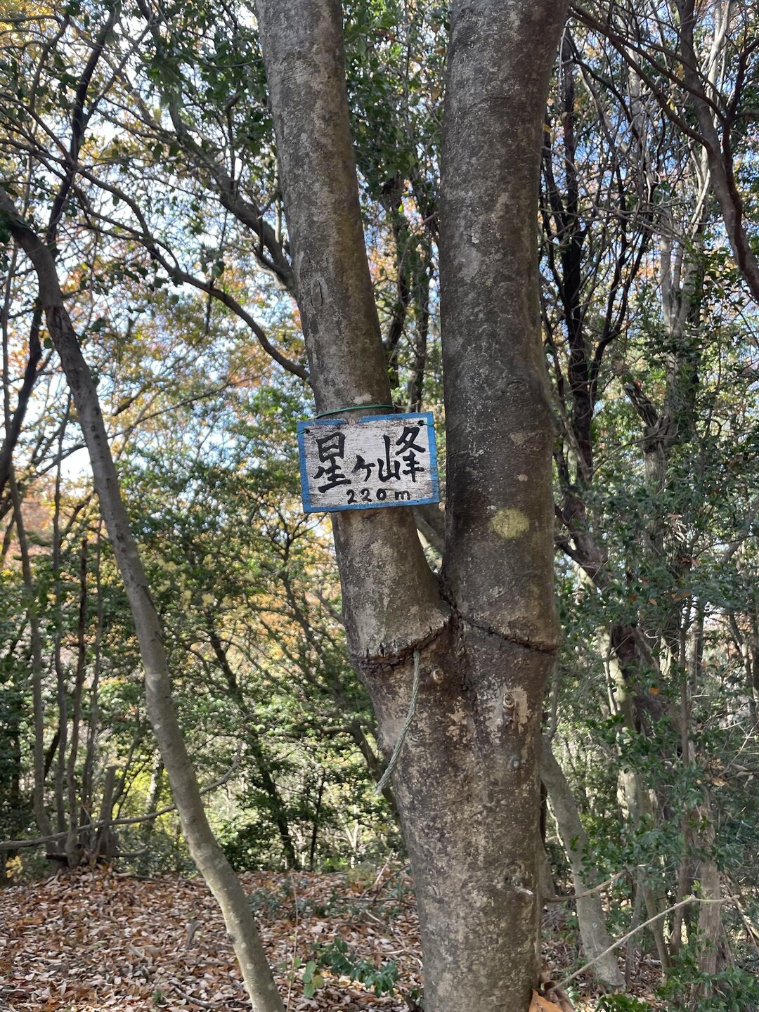 星ヶ峰 / fjhiroさんの三上山・鏡山の活動データ | YAMAP / ヤマップ