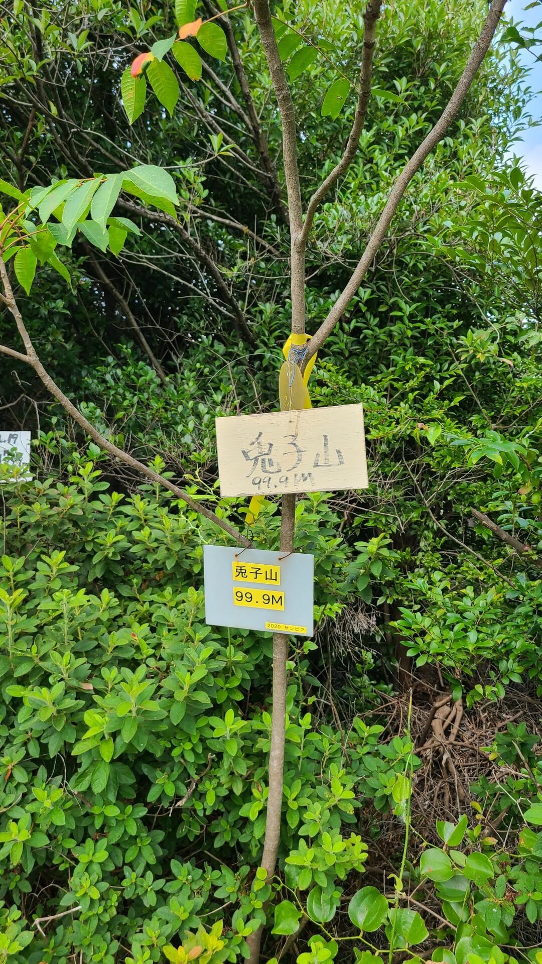 セコセコピークハント②(兎子山) / kaz23さんの火ノ山・十瓶山の活動データ | YAMAP / ヤマップ