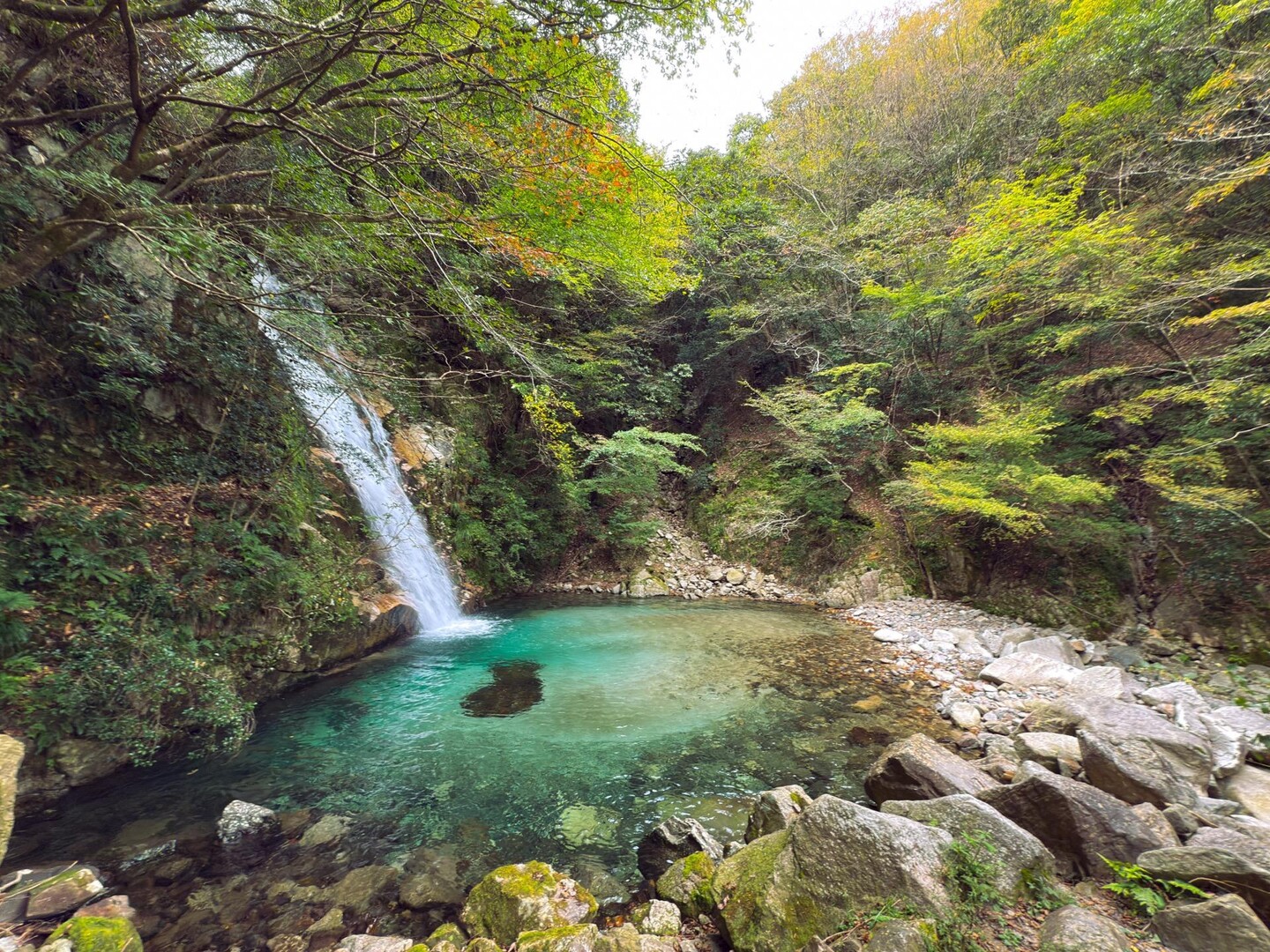 竜ヶ岳 / tarohsanさんの竜ヶ岳の活動データ | YAMAP / ヤマップ