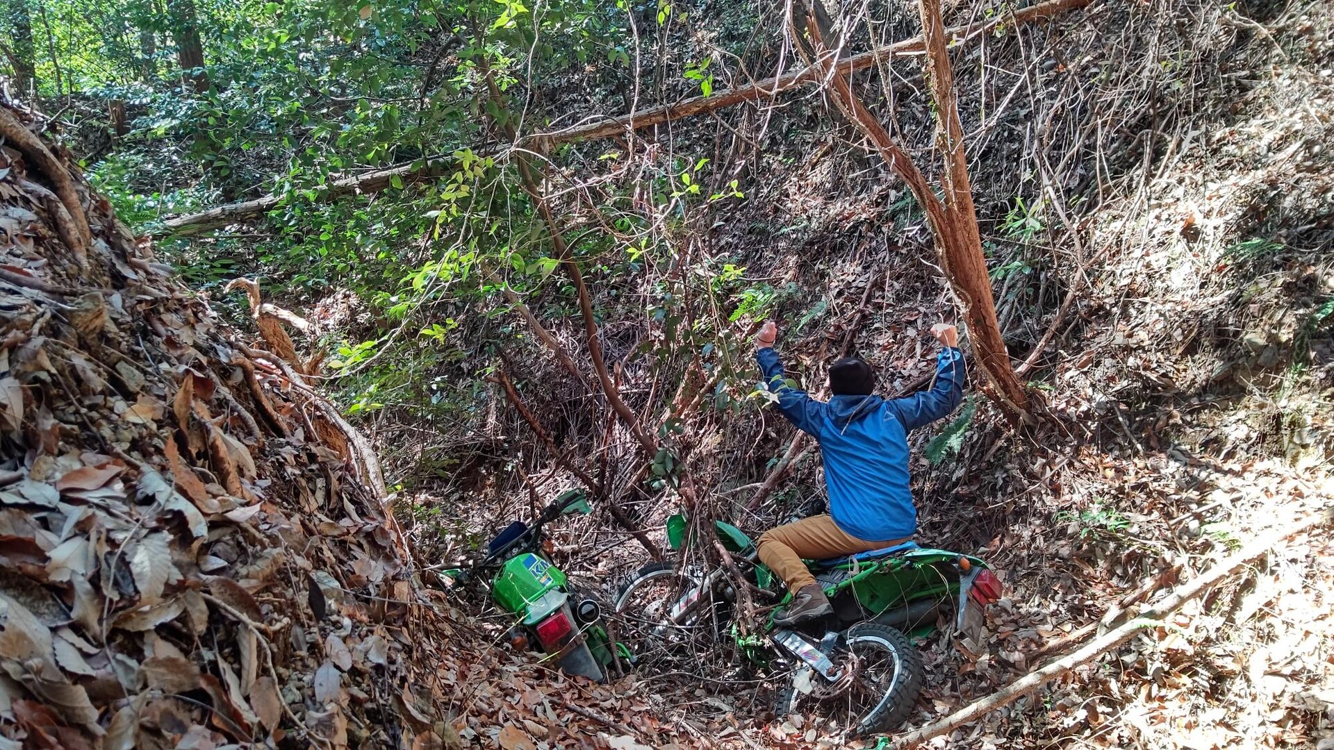 鷹巣山⛰️探検隊💃(いや、ソロやないかい！🤣) / ypkunさんの金華山・洞山・舟伏山の活動データ | YAMAP / ヤマップ