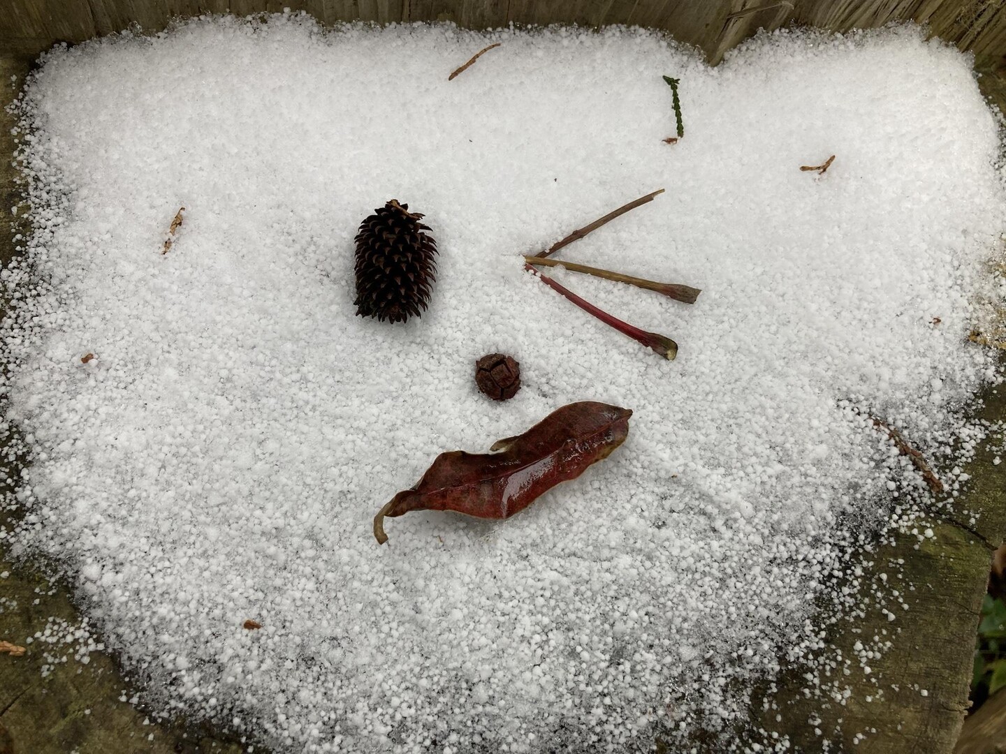 年の瀬、やはり福智山 / Yosさんの福智山・尺岳・雲取山の活動データ | YAMAP / ヤマップ