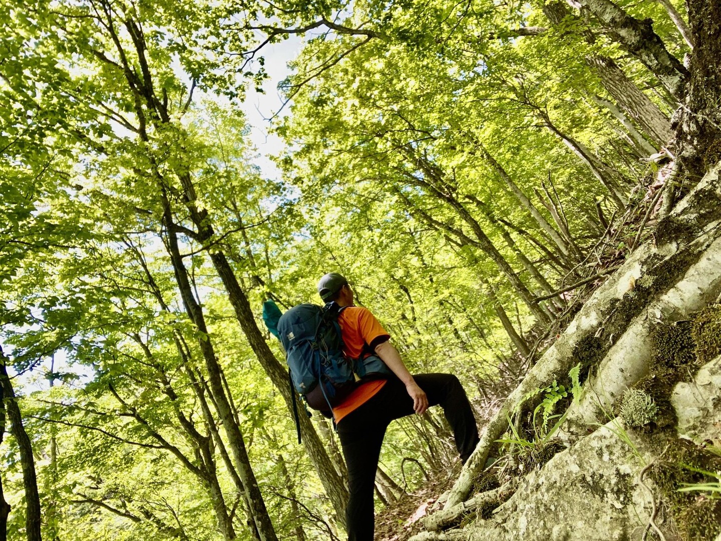 笹子雁ヶ腹摺山（秀麗富嶽十二景） / kazu-bayさんの滝子山・大谷ヶ丸・笹子雁ヶ腹摺山の活動データ | YAMAP / ヤマップ