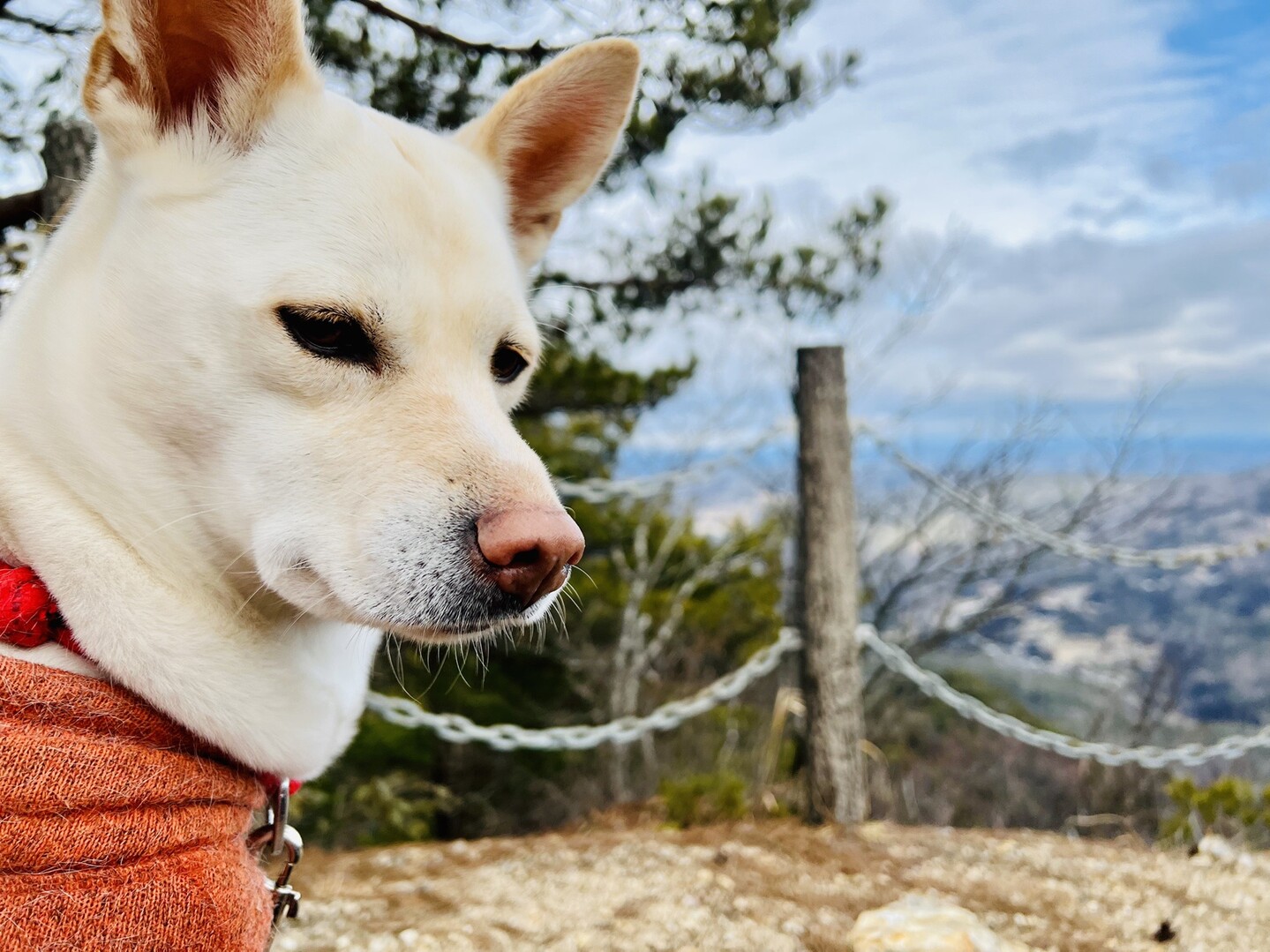 こまりと行く天神山 / HIGE（SOU）さんの天神山の活動データ | YAMAP / ヤマップ