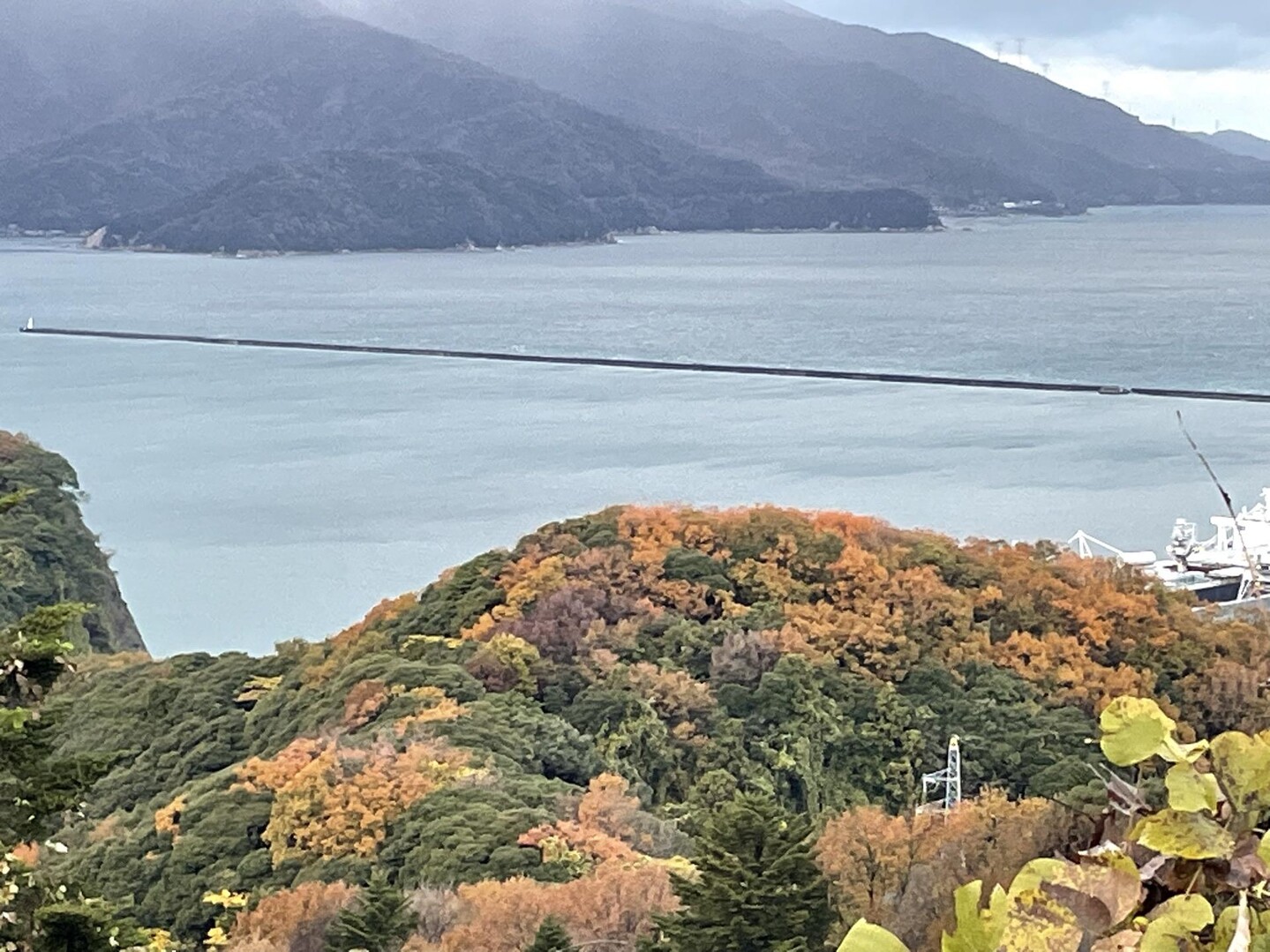 寒かった 😨 天筒山 / miniさんの天筒山・中池見湿地の活動データ | YAMAP / ヤマップ