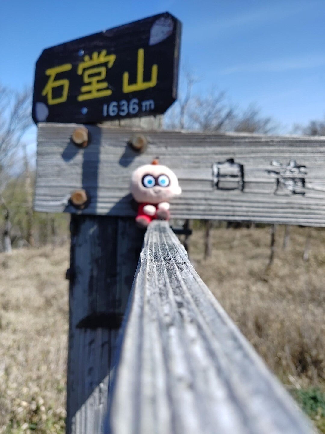 矢筈山・石堂山JACK-JACK / JACK-JACK23さんの矢筈山・黒笠山の活動データ | YAMAP / ヤマップ