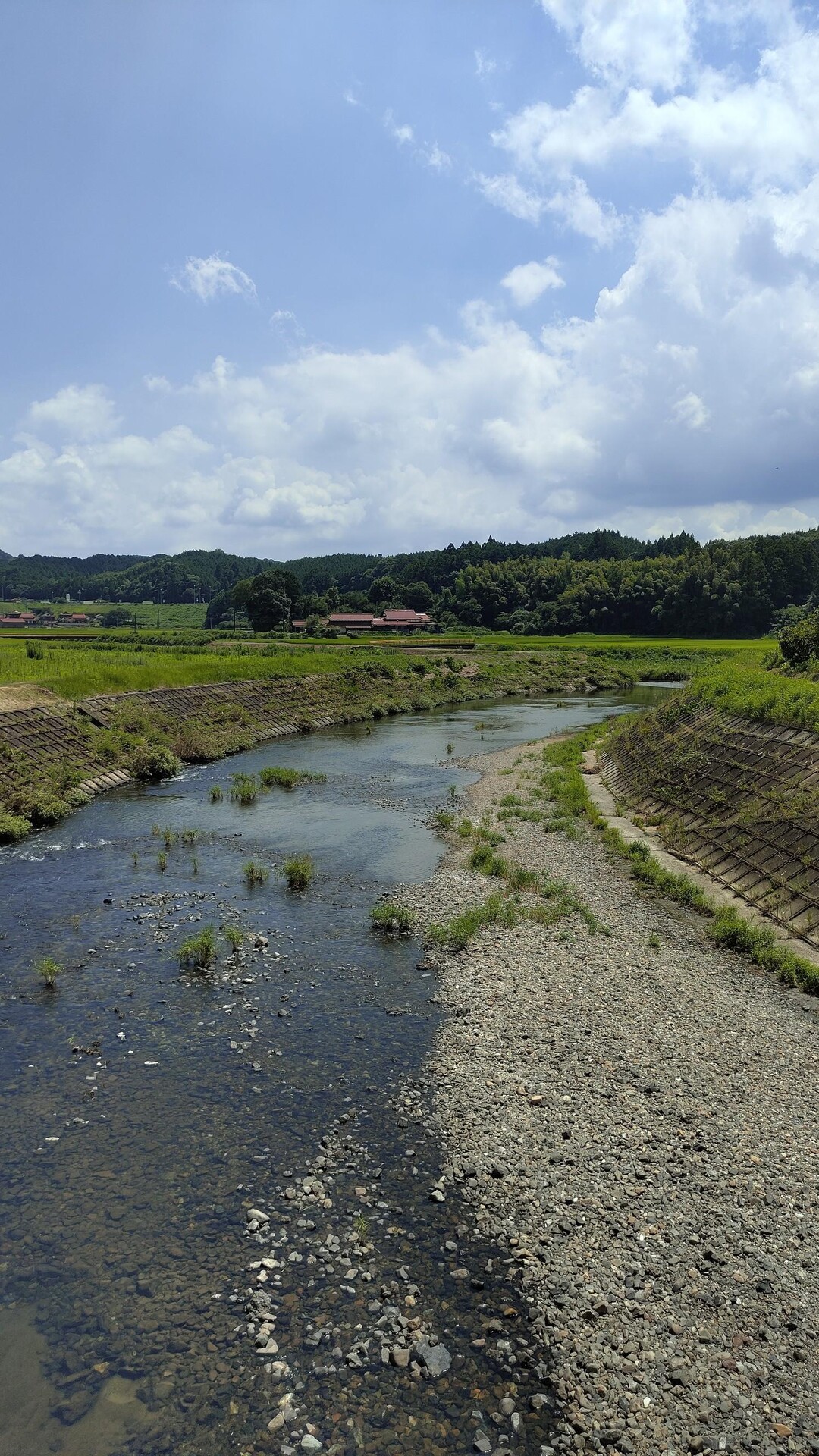 酷暑の美祢市ラン 11時間60k / seiさんの秋吉台の活動データ | YAMAP / ヤマップ