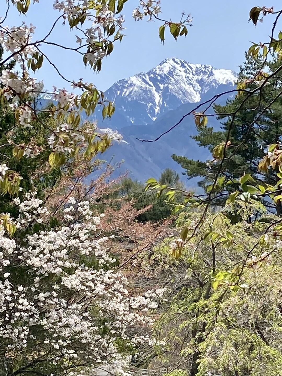 小淵沢に移住したお友達お勧めのお蕎麦屋さ... / Beniさんのモーメント | YAMAP / ヤマップ