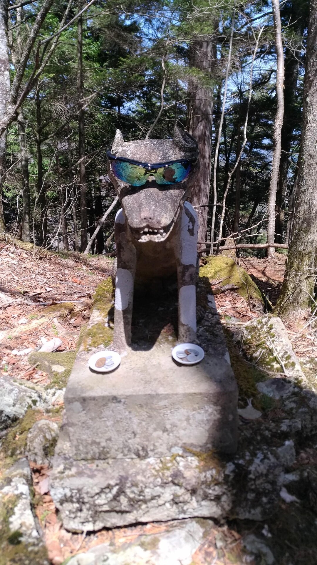 賽は投げられた（前編） / Tonaeさんの和名倉山・笠取山・東仙波の活動データ | YAMAP / ヤマップ