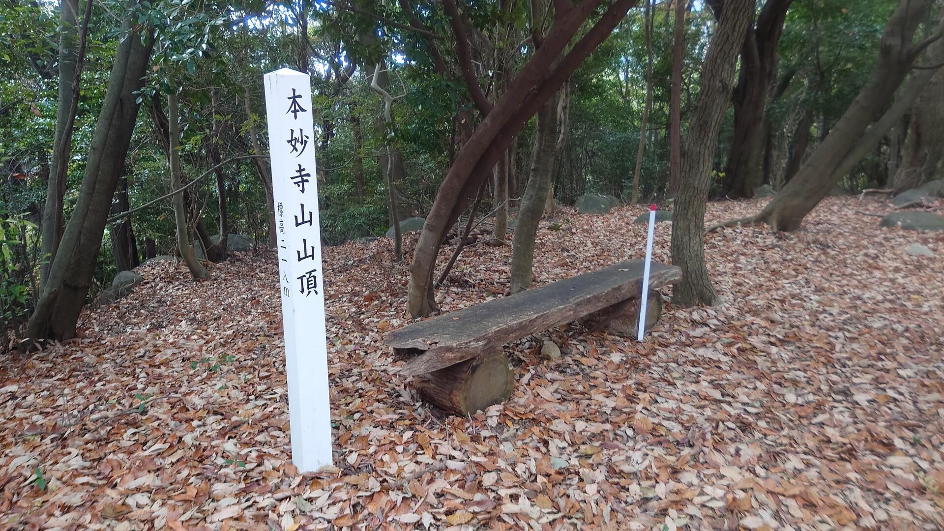 本妙寺山 / SAKAさんの金峰山・二ノ岳・三ノ岳の活動データ | YAMAP / ヤマップ