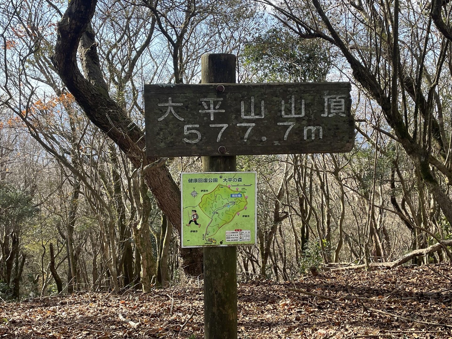 大平山 / tatariiさんの古城山・大平山・伊東アルプスの活動日記 | YAMAP / ヤマップ