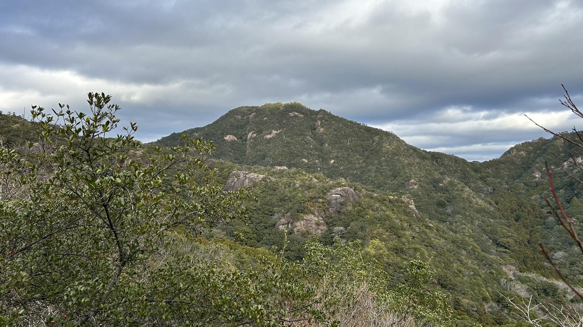 田辺市 龍神山 / Goさんの田辺市・高尾山・龍神山・奇絶峡の活動データ | YAMAP / ヤマップ