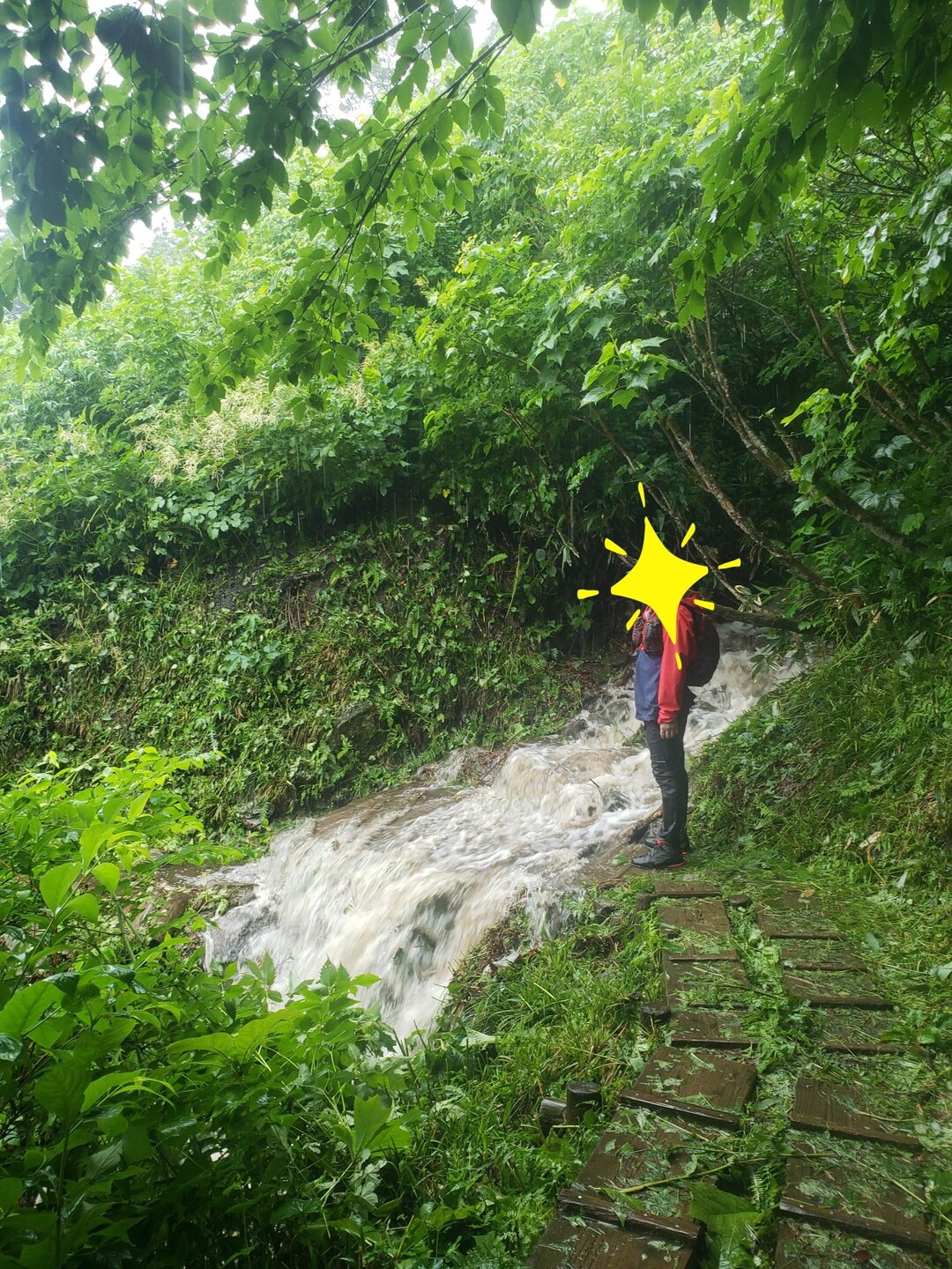 ricoさんの投稿したフィールドメモ | YAMAP / ヤマップ