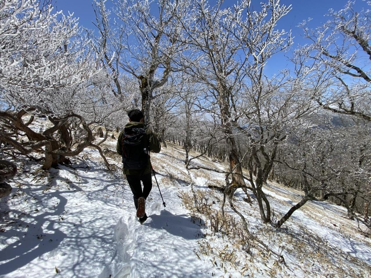 ryunosukeのページ | YAMAP / ヤマップ