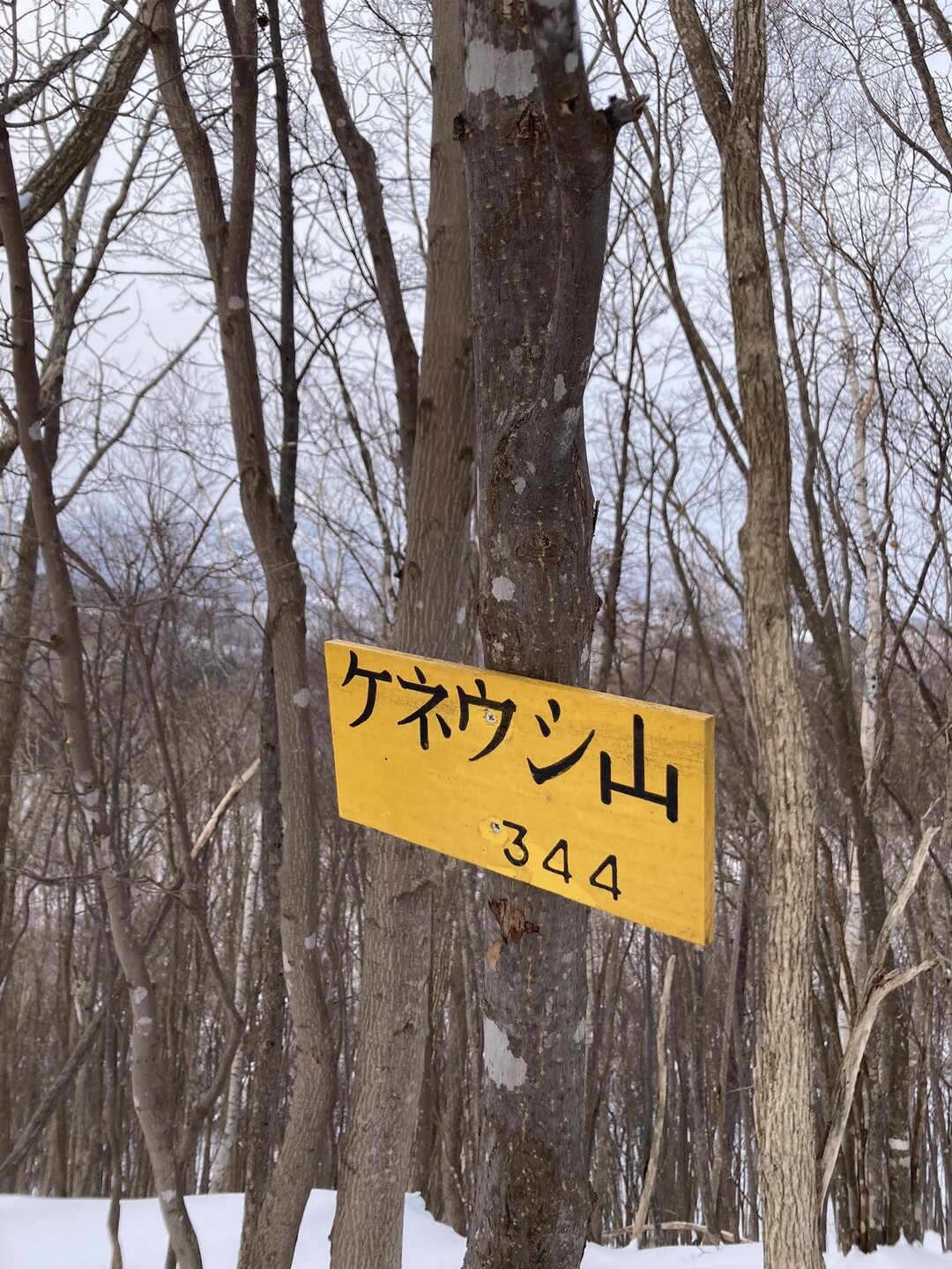西高山・奥西高山・ケネウシ山・幌見山 / yuyu さんの三角山・大倉山・円山の活動データ | YAMAP / ヤマップ