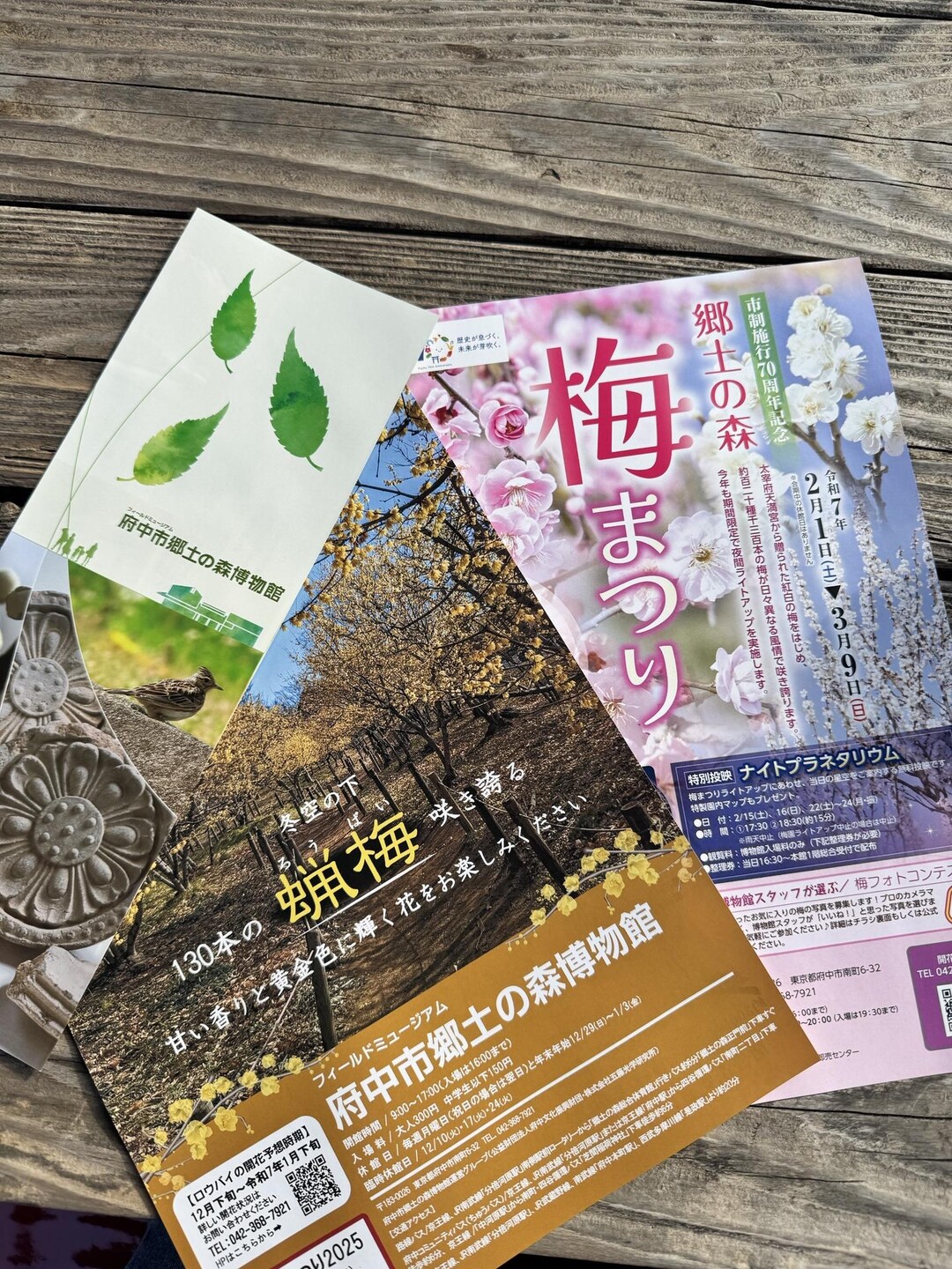 府中市 郷土の森博物館 / rainmanさんの高尾山・陣馬山・景信山の活動データ | YAMAP / ヤマップ