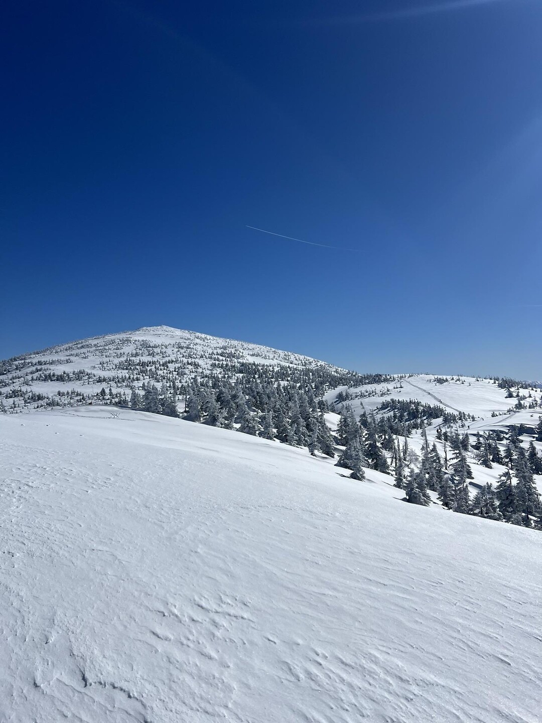 ワイワイ🎶森吉山 / Fisherマンさんの森吉山の活動データ | YAMAP / ヤマップ