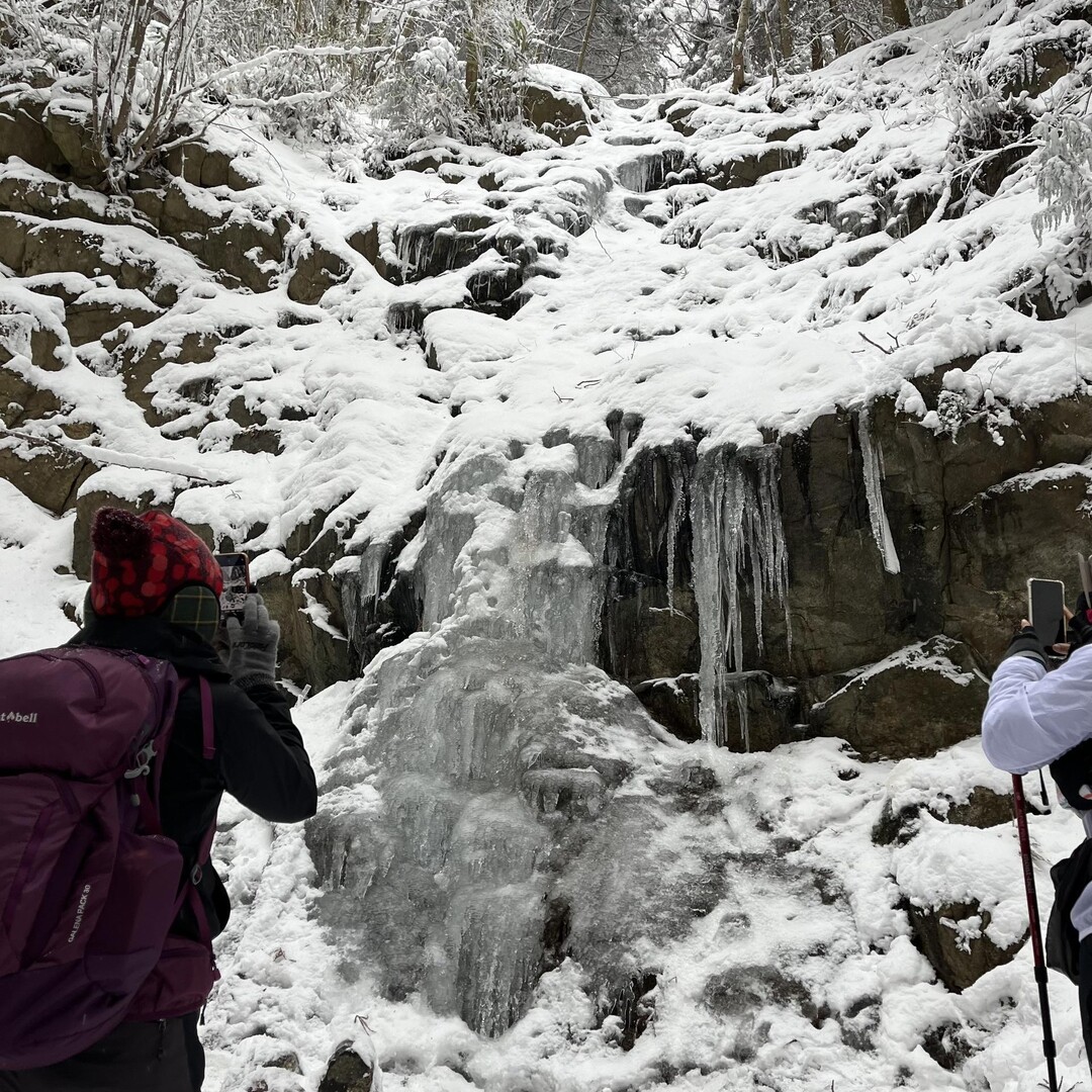 金剛山 / milky55さんの金剛山・二上山・大和葛城山の活動データ | YAMAP / ヤマップ