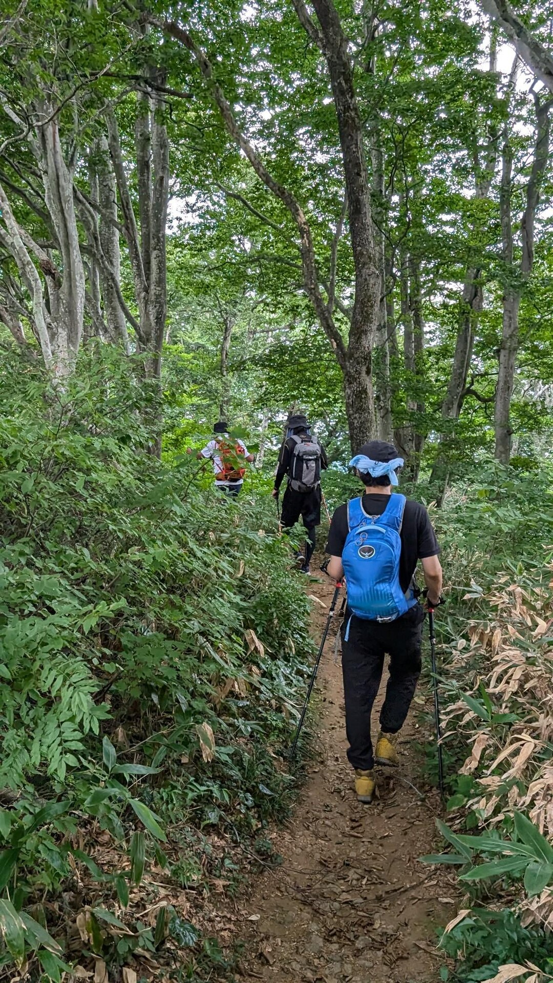 ウォーキング-2024-09-15 / ma_suさんのウォーキングの活動データ | YAMAP / ヤマップ