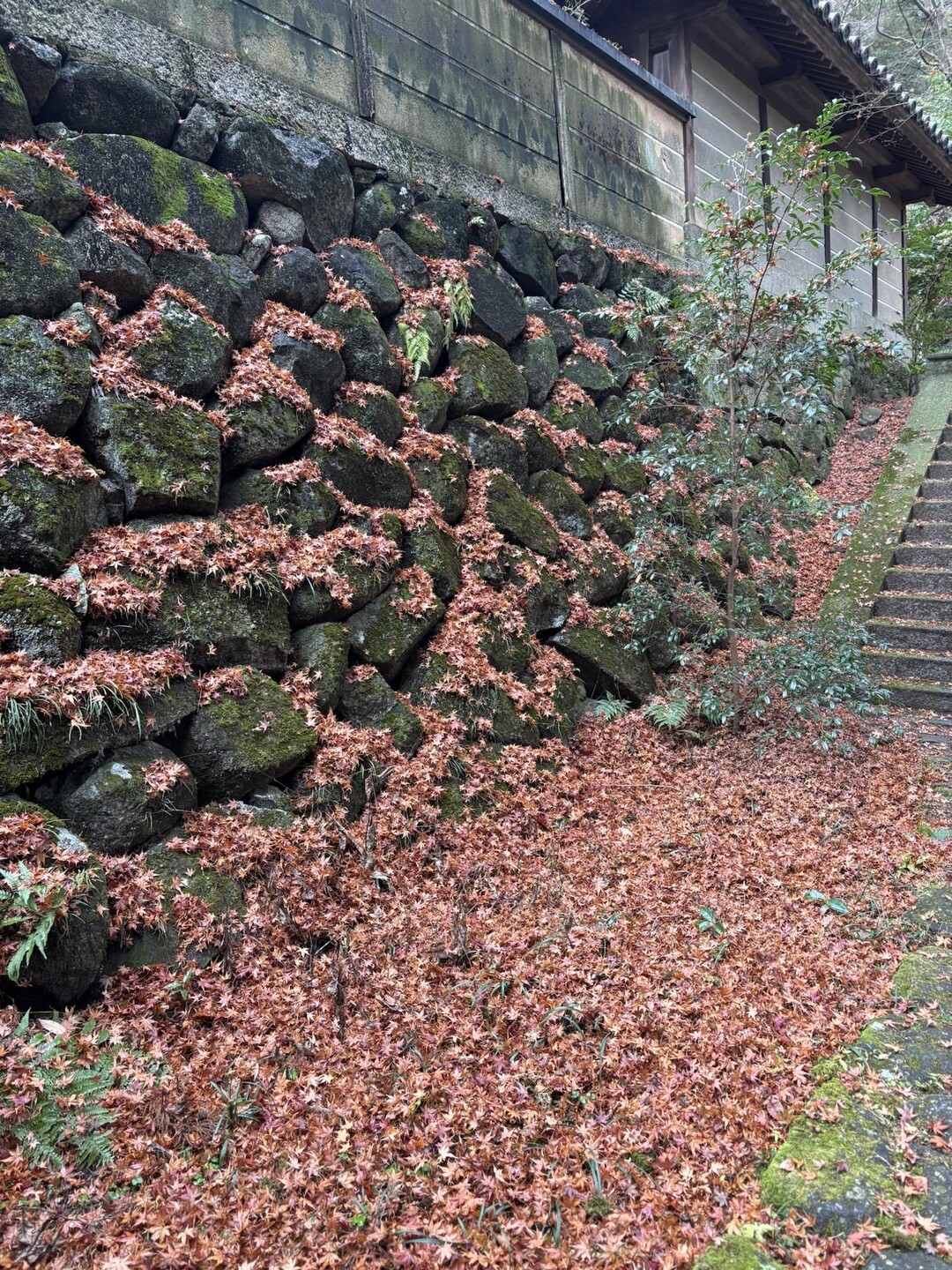 生駒山 / asaさんの生駒山・神津嶽・大原山の活動データ | YAMAP / ヤマップ