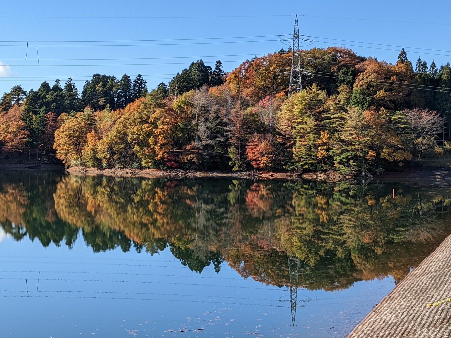 秋葉公園散策 / とっぽさんの新潟市の活動データ | YAMAP / ヤマップ