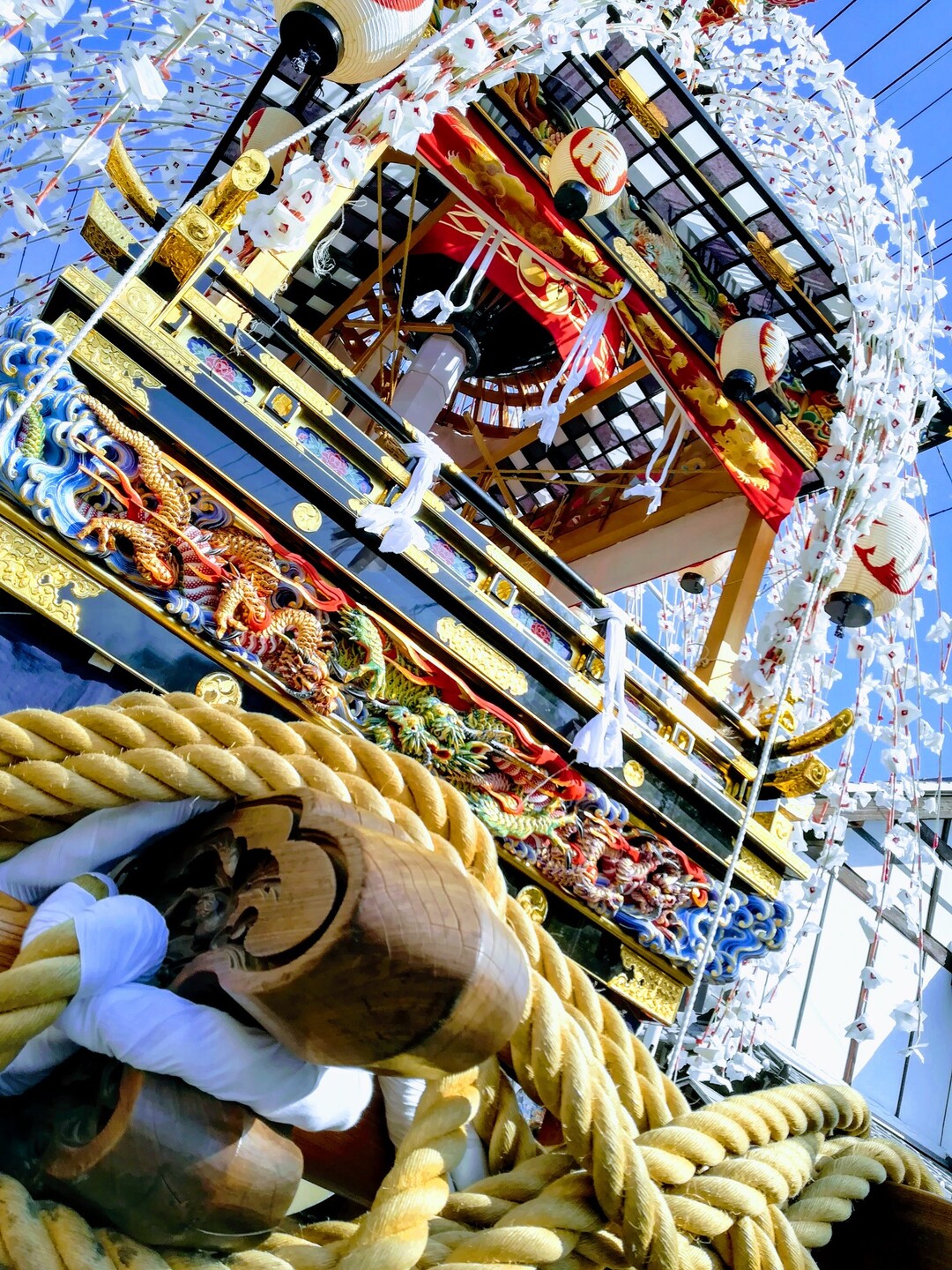 🌸Springthunders⚡のページ | YAMAP / ヤマップ