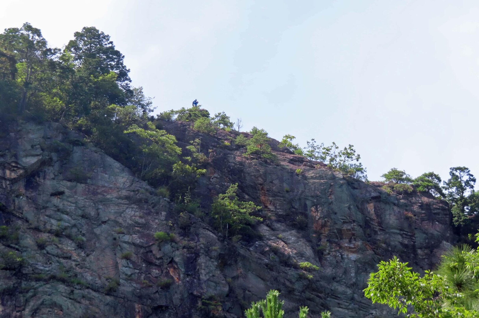 遠見山 / ss5さんの納古山の活動データ | YAMAP / ヤマップ