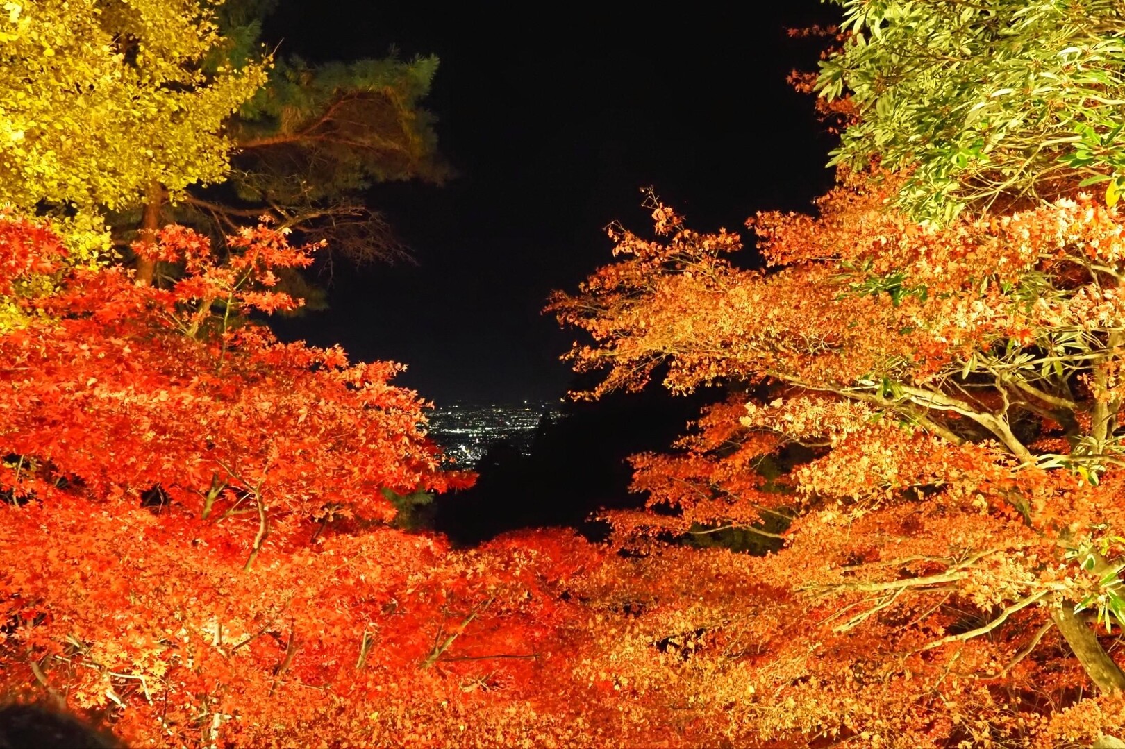 塔ノ岳・丹沢山・大山 / Ke-iさんの塔ノ岳・丹沢山・蛭ヶ岳の活動データ | YAMAP / ヤマップ