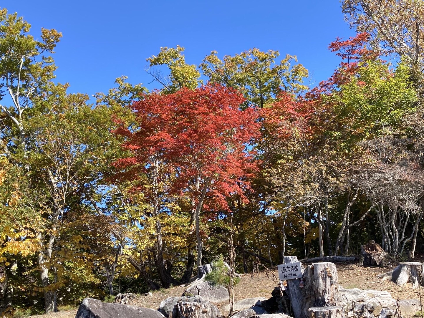 甲州高尾山〜棚横手山〜源次郎岳〜塩ノ山 / GUMIさんの甲州高尾山・宮宕山・源次郎岳の活動データ | YAMAP / ヤマップ