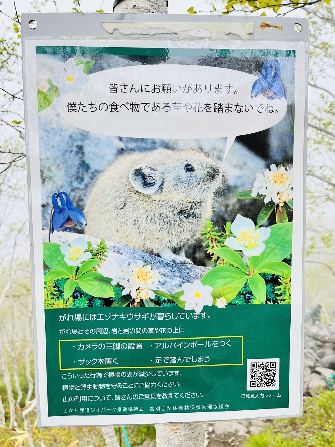 会えました🤗東ヌプカウシヌプリ / K.TANAKAさんの東ヌプカウシヌプリ・西ヌプカウシヌプリの活動データ | YAMAP / ヤマップ