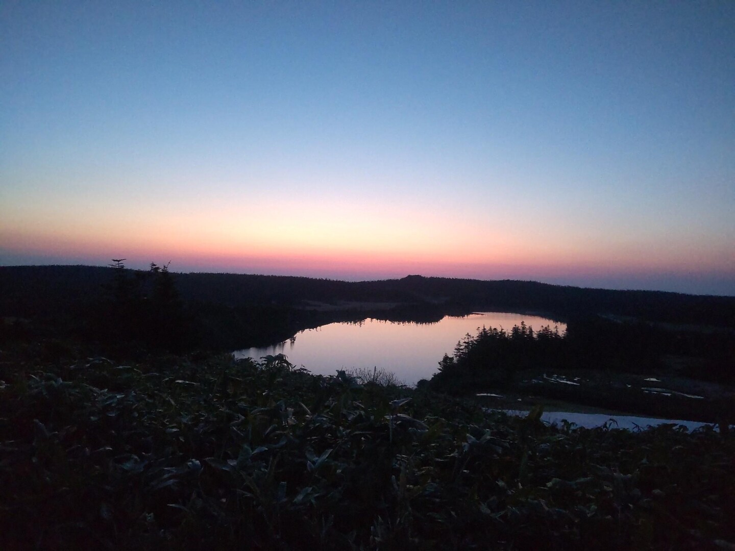 ドラゴン？-06-08 / 鹿角の山々さんの岩手山・八幡平・安比高原 50km トレイルの活動データ | YAMAP / ヤマップ