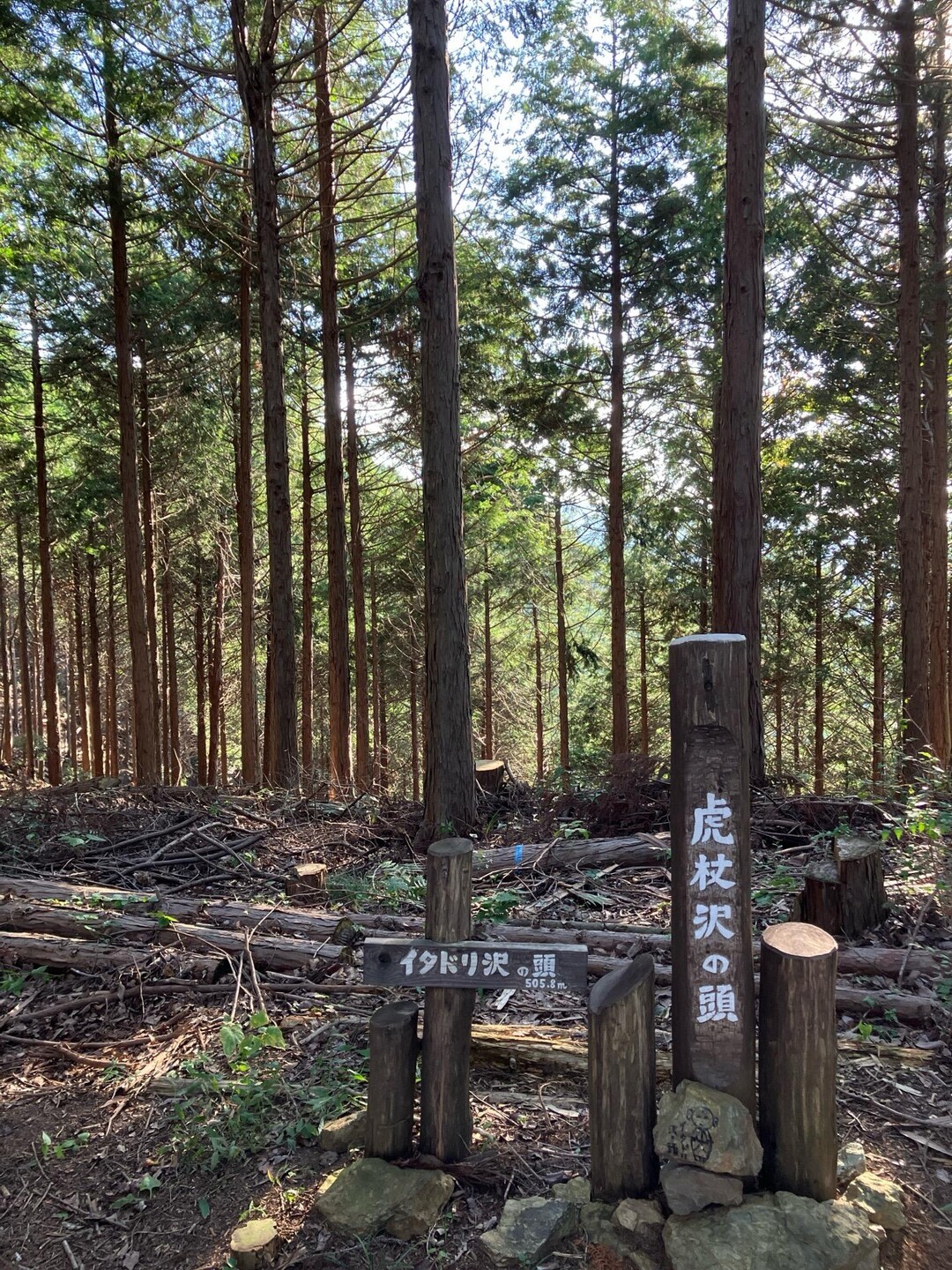478m圏峰 / しむさんの高尾山・陣馬山・景信山の活動データ | YAMAP / ヤマップ