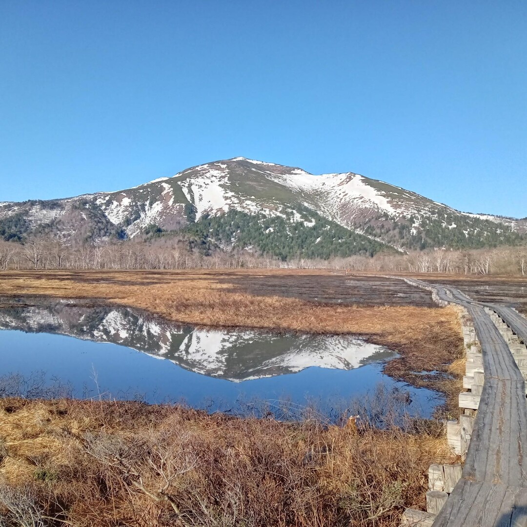 尾瀬🔰2024-05-03 / 一路ISSAさんの尾瀬・燧ヶ岳の活動日記 | YAMAP / ヤマップ
