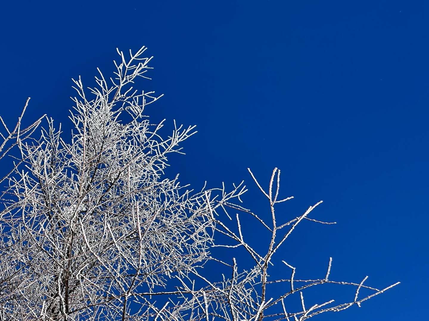 猪臥山 / ミナPさんの猪臥山の活動日記 | YAMAP / ヤマップ