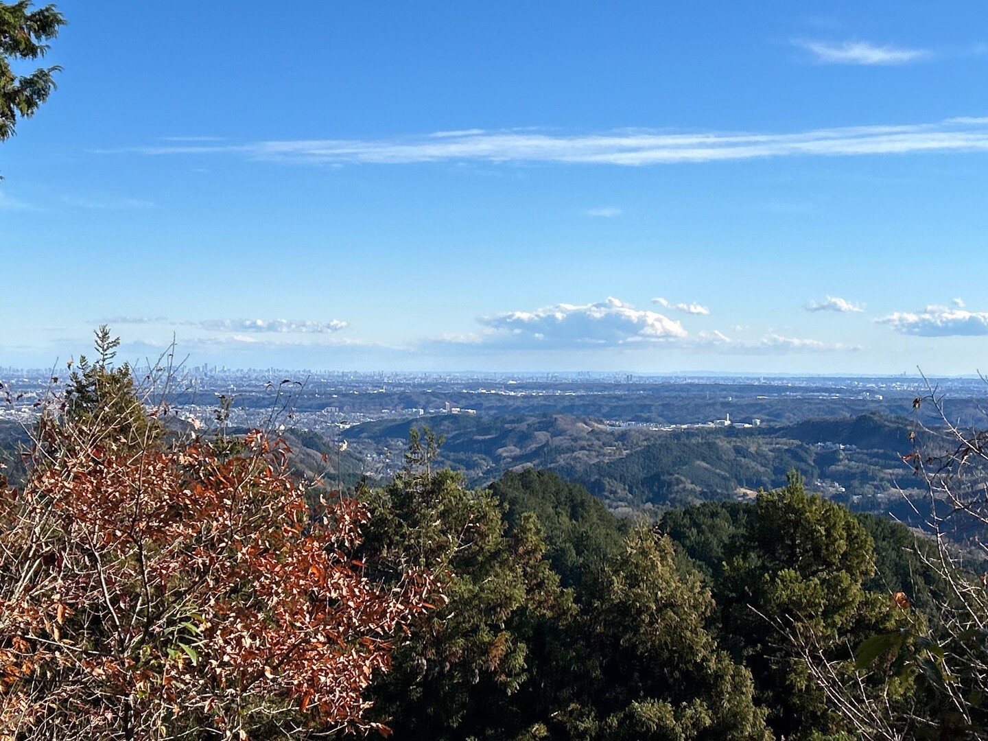 飯能トレイルPart1 / うまうまさんの天覧山・多峯主山・天覚山の活動データ | YAMAP / ヤマップ