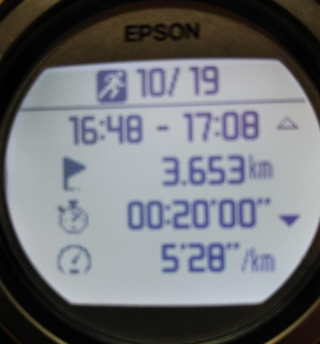 20m LT + 90m JOG / ominaeshiさんのモーメント | YAMAP / ヤマップ