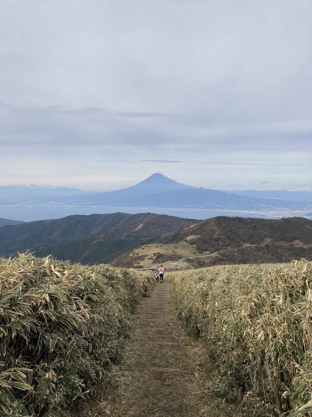 伊豆トレイルジャーニー（ITJ） / tetsu626さんのIZU TRAIL Journey 2020の活動日記 | YAMAP / ヤマップ