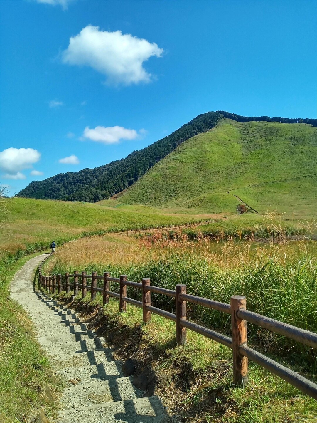 曽爾高原・二本ボソ・倶留尊山 / ko-ziさんの倶留尊山・曽爾高原・古光山の活動データ | YAMAP / ヤマップ