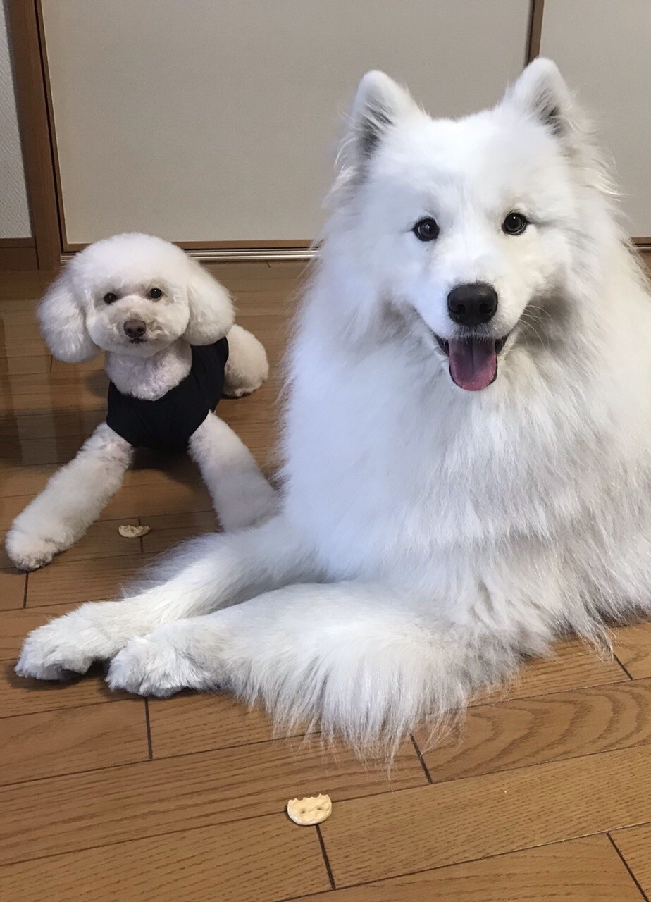 yu-kunのページ | YAMAP / ヤマップ