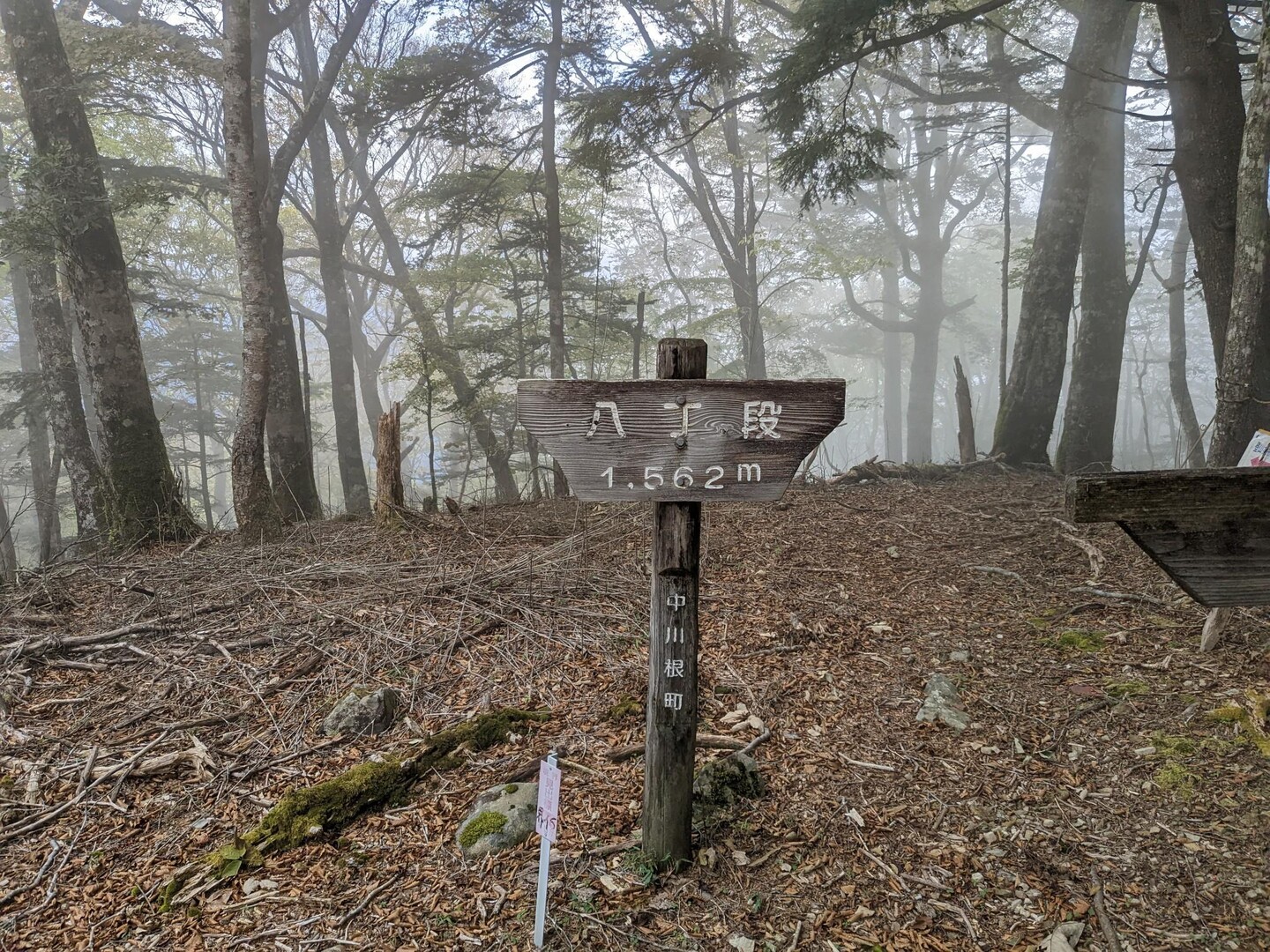 山犬段・八丁段 / Nuruma_Uさんの蕎麦粒山・三合山・高塚山の活動データ | YAMAP / ヤマップ