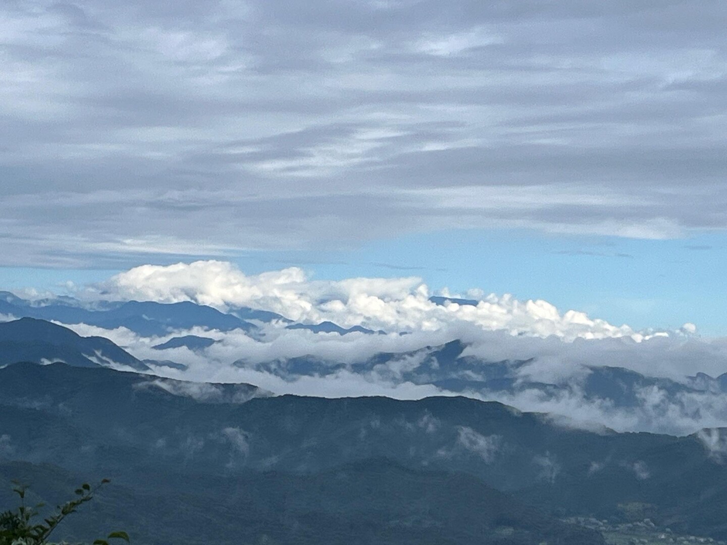 梅雨の晴れ間に晃石山へ / yutayutaさんの太平山・晃石山・唐沢山の活動データ | YAMAP / ヤマップ