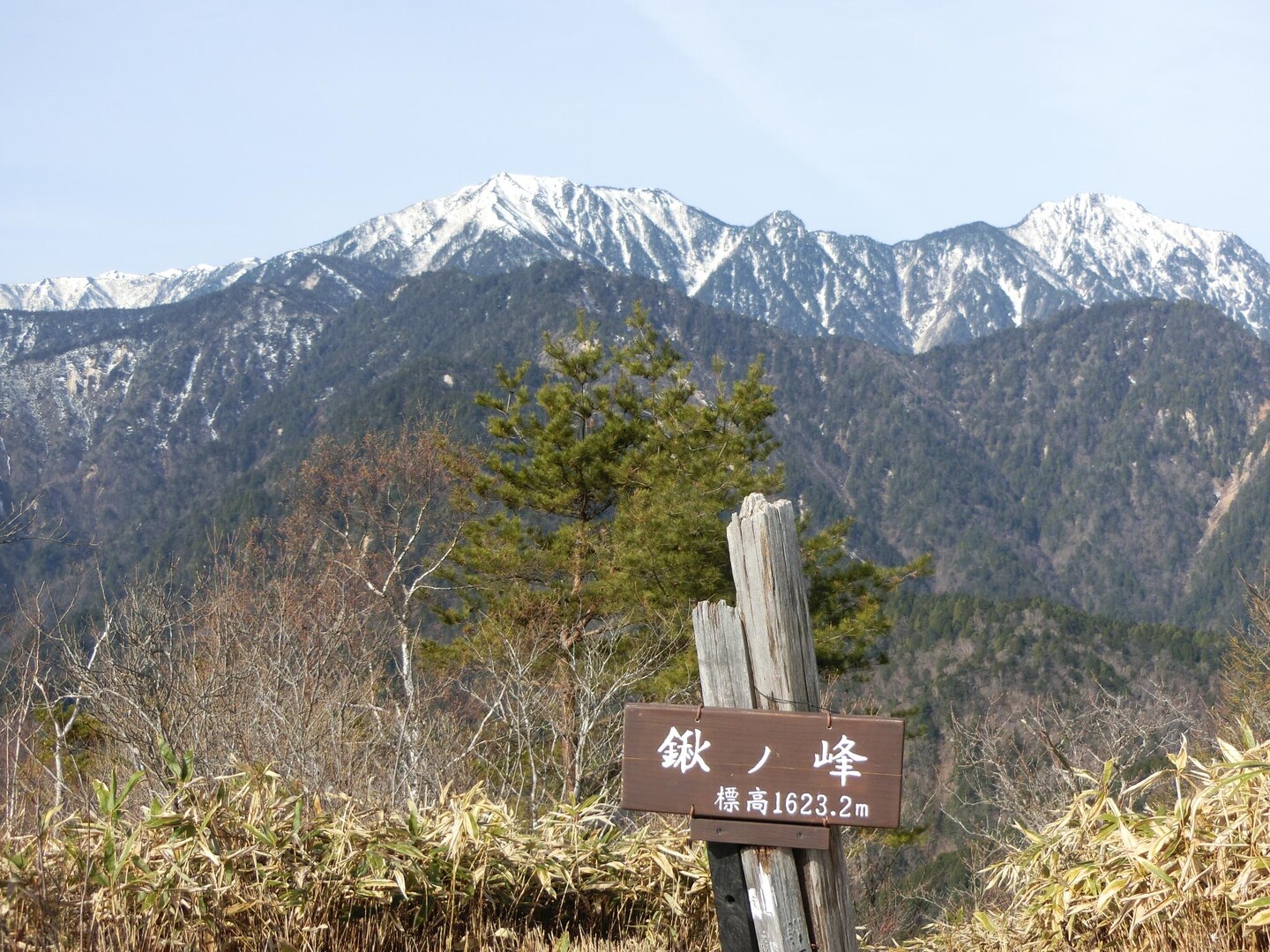 鍬ノ峰 シャクナゲ咲き始め / tadmさんの燕岳・餓鬼岳・唐沢岳の活動データ | YAMAP / ヤマップ