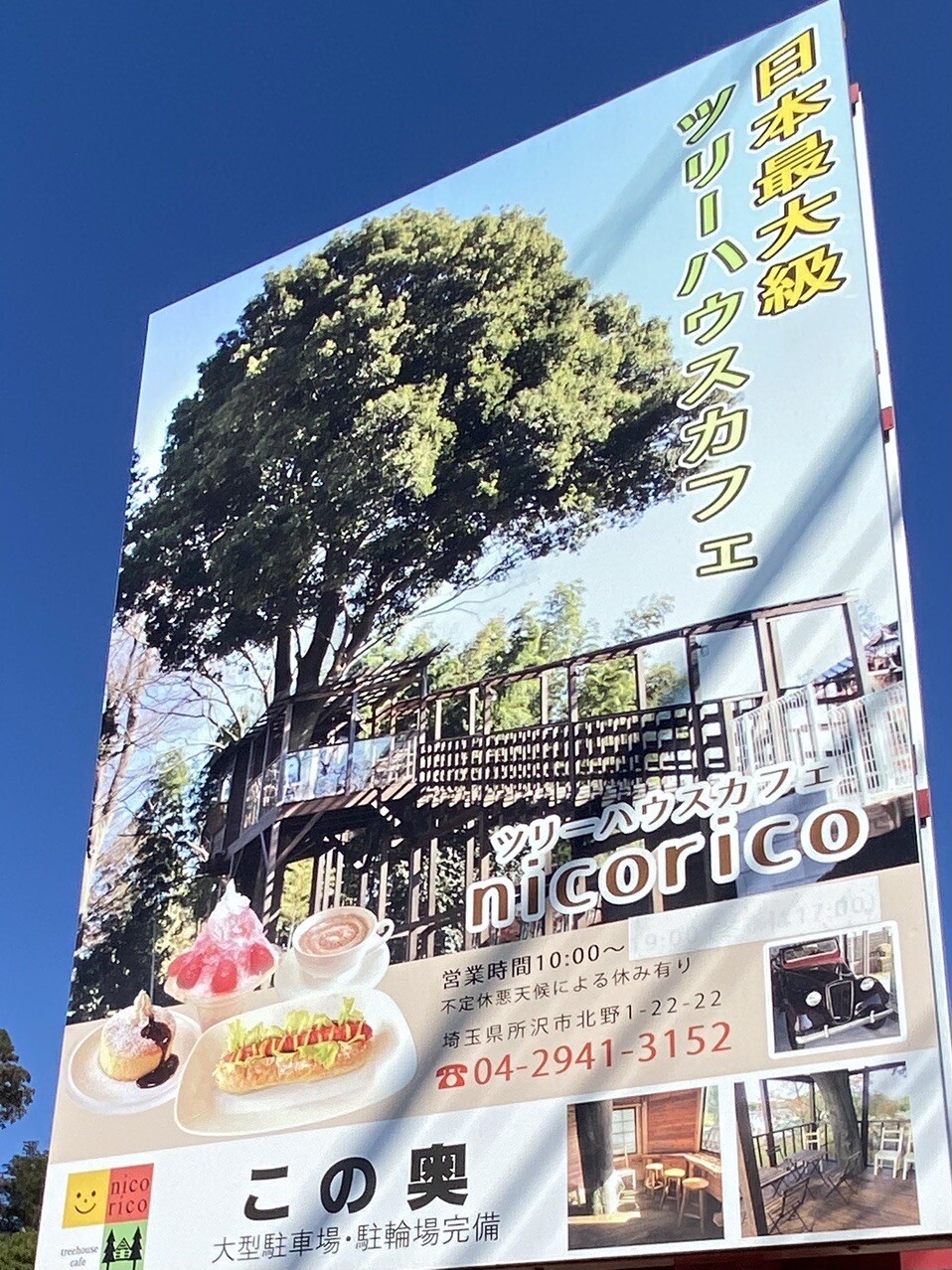 人生初のしいたけ狩りを楽しんだ10月8日... / MAYUMIさんのモーメント | YAMAP / ヤマップ