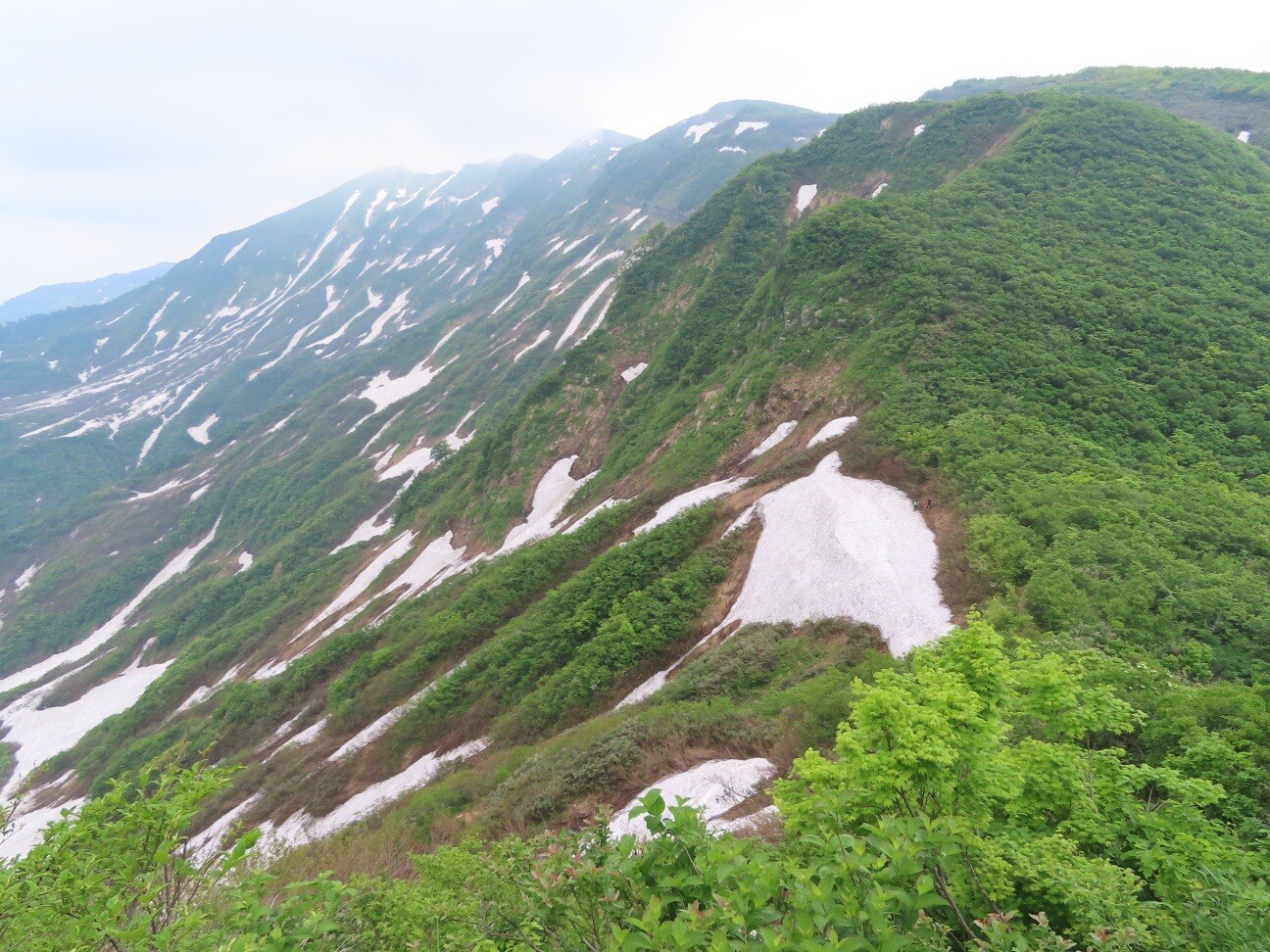 守門岳 / norisukeさんの守門岳・大岳・網張山の活動データ | YAMAP / ヤマップ