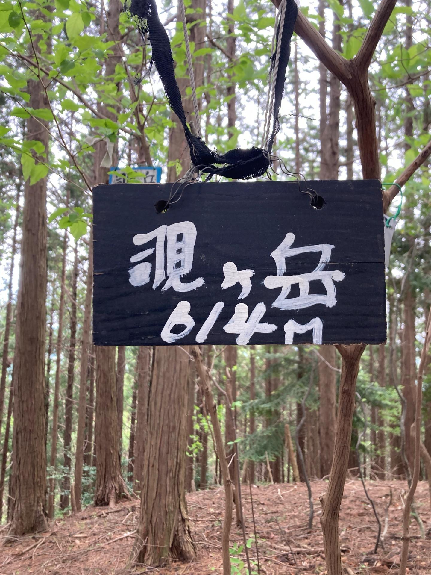 覗ヶ岳・日張山 / cocoaさんの覗ヶ岳の活動データ | YAMAP / ヤマップ